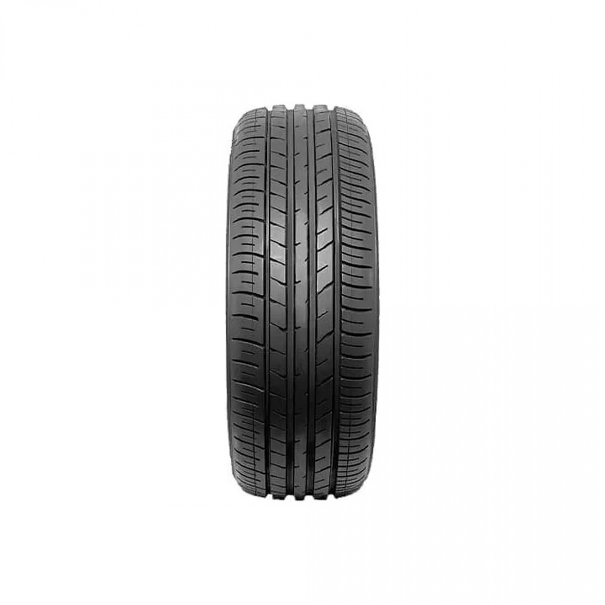 205/55 R16 91V Dunlop Spfm800 — Rolling