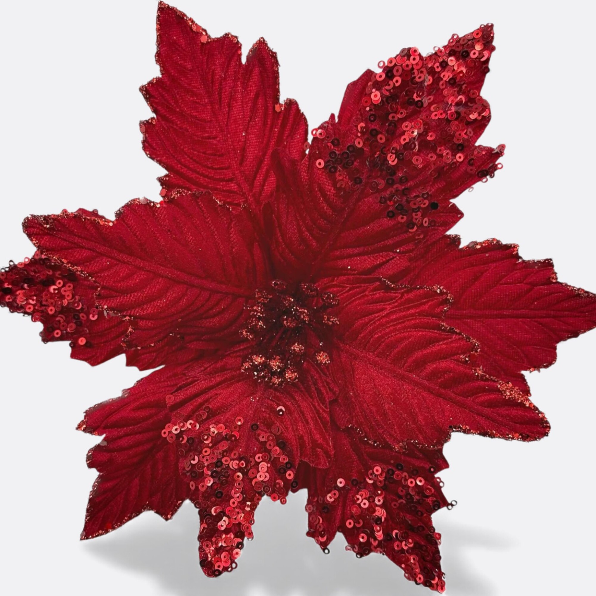 Flor Estrella Federal - Rojo — Que Regalo