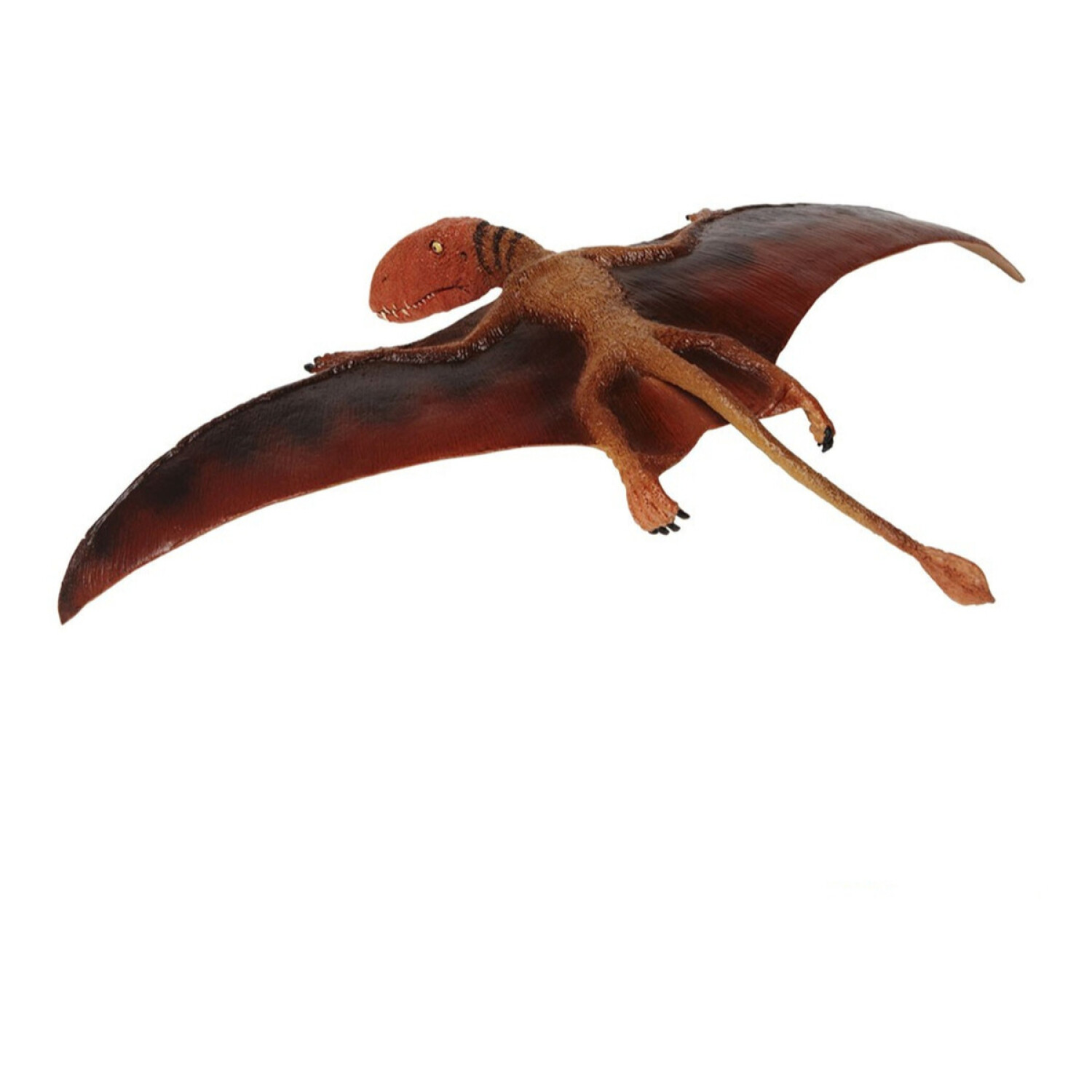 Dinosaurio Dimorphodon Safari Muñeco Realista Niño — Atrix