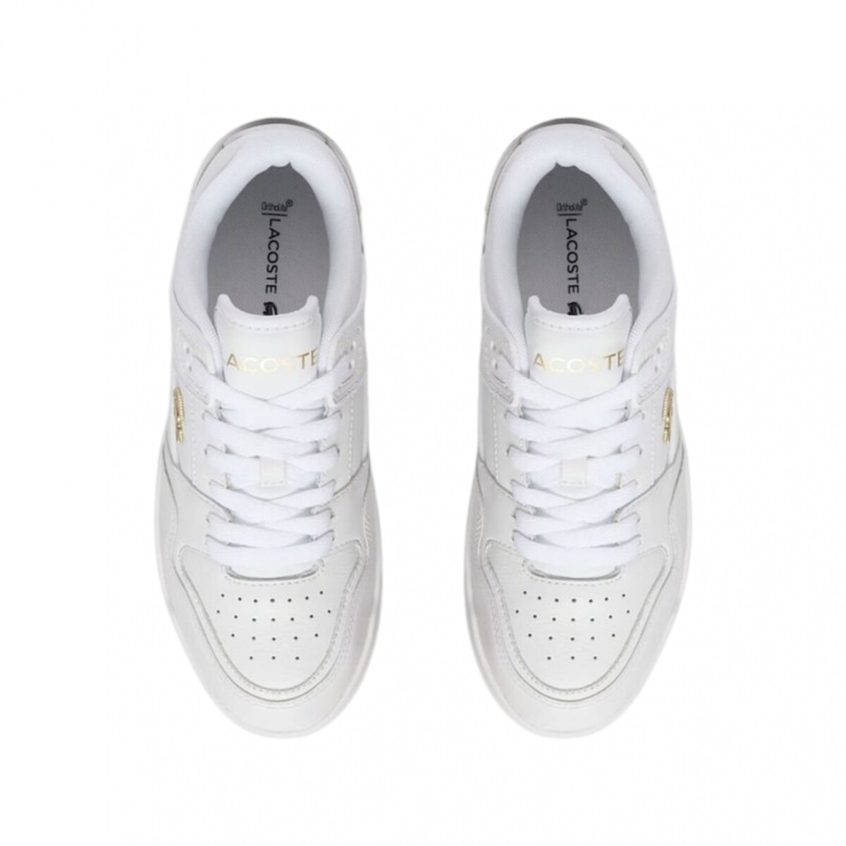 Championes LACOSTE Courtcage Set - White — Zooko