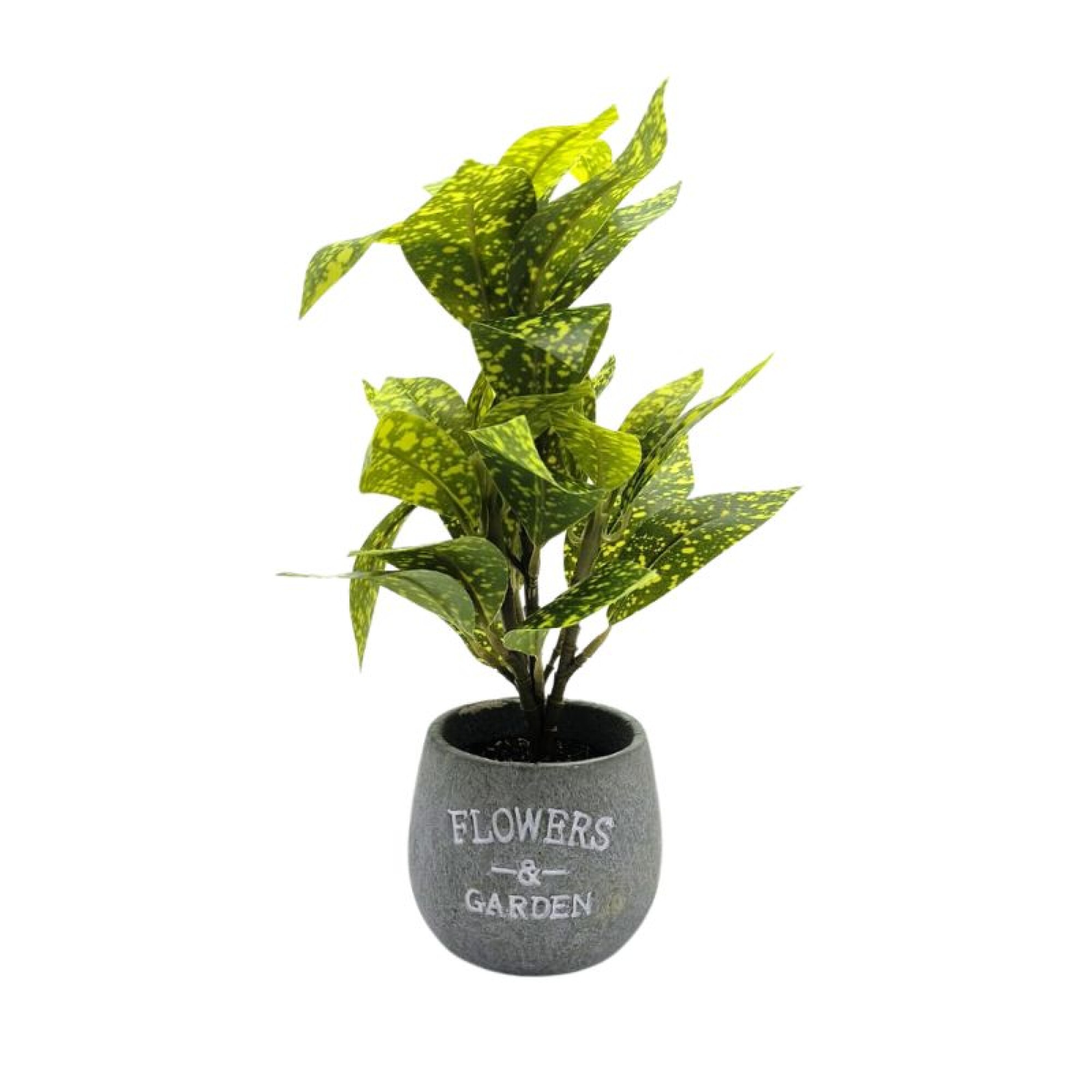 Planta con Maceta Deco — Casa Fessta