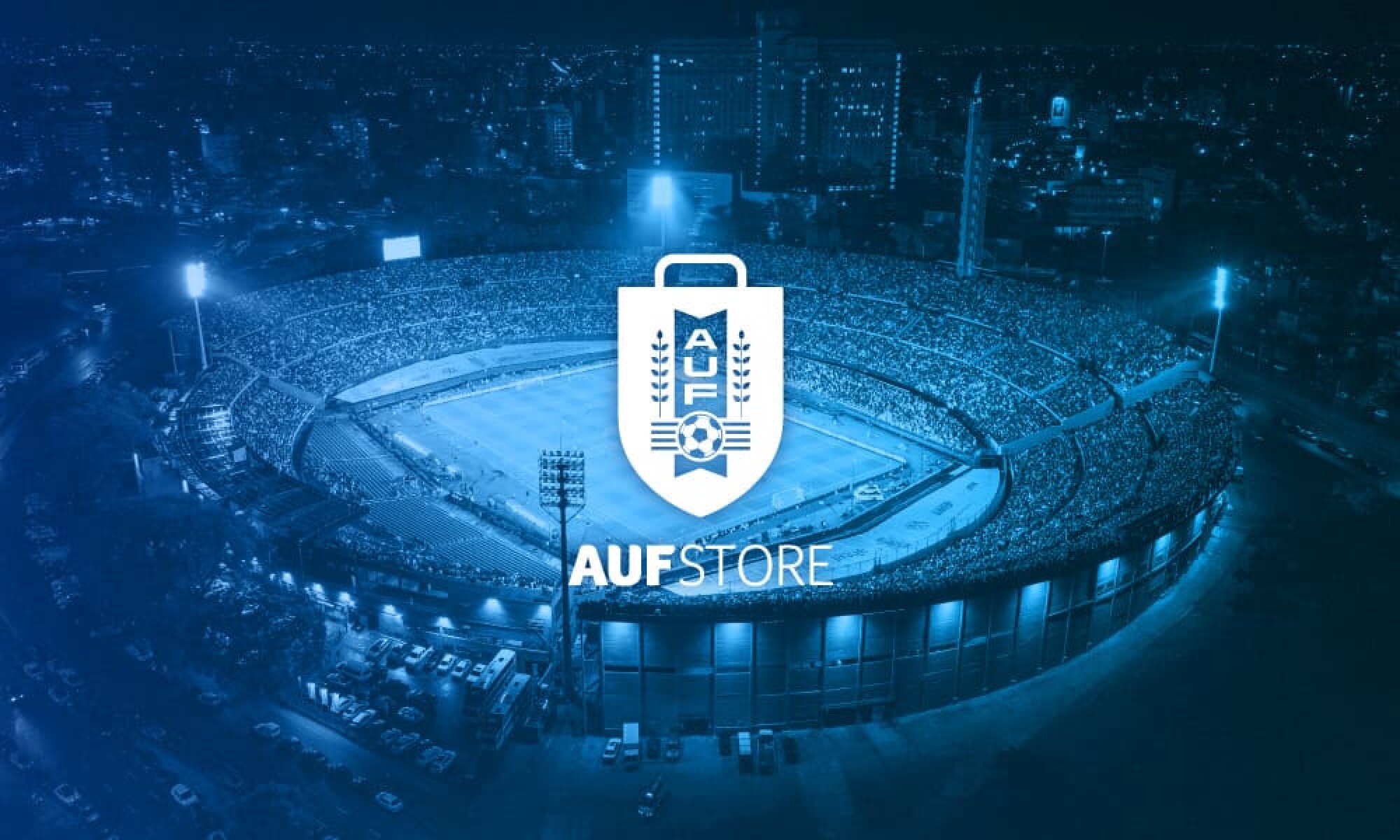 CAMBIO USO INTERNO — AUF Store