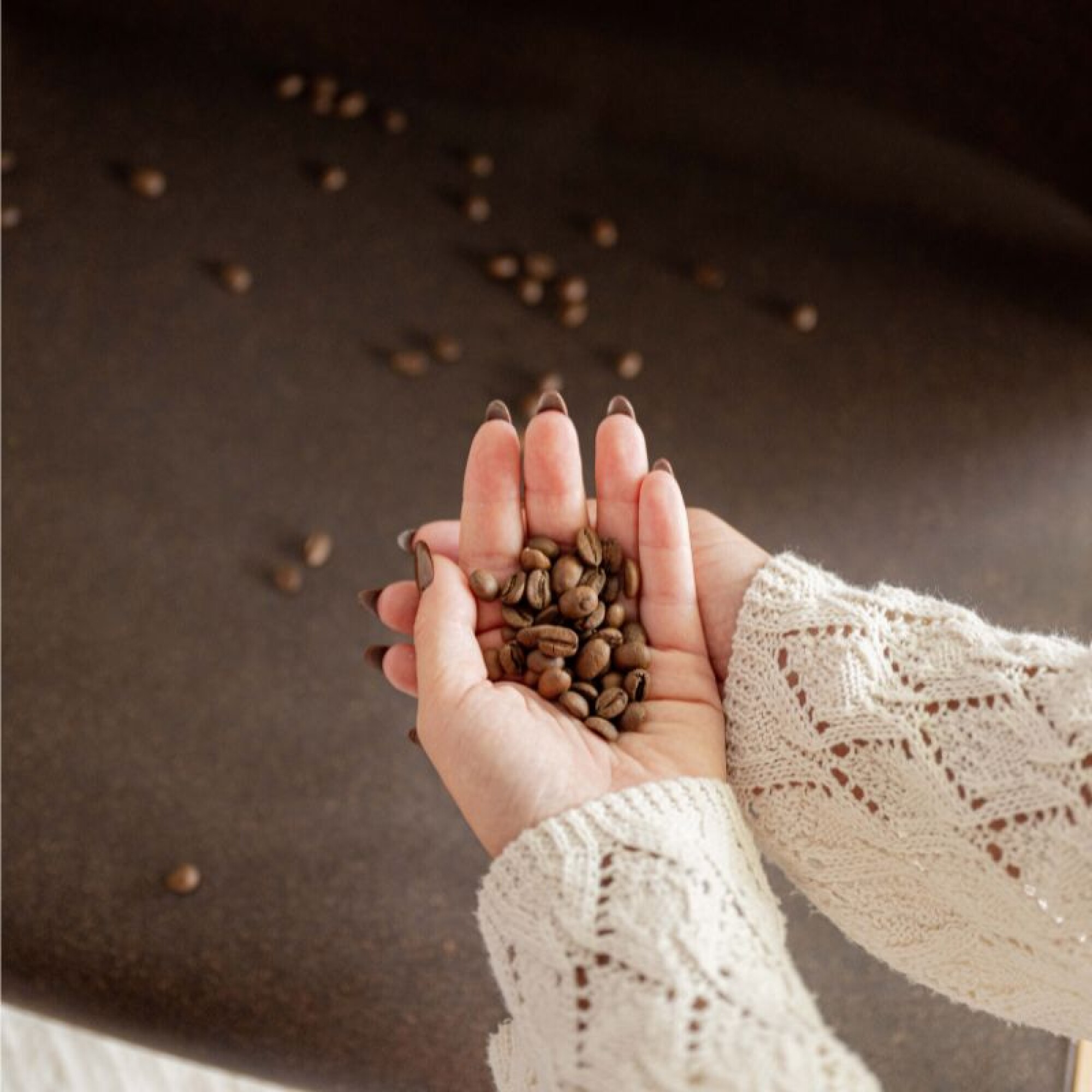 Silla café / producto sostenible — Fabrica Italiana