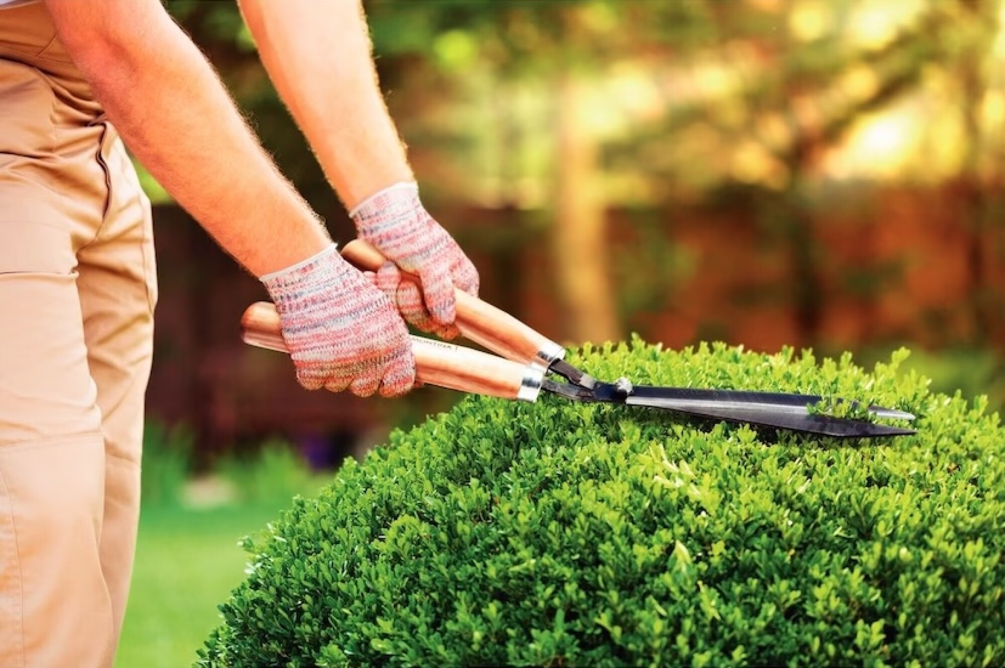 Tijera para Cerca con Lámina Metálica 12"" Tramontina — Barraca Dayman