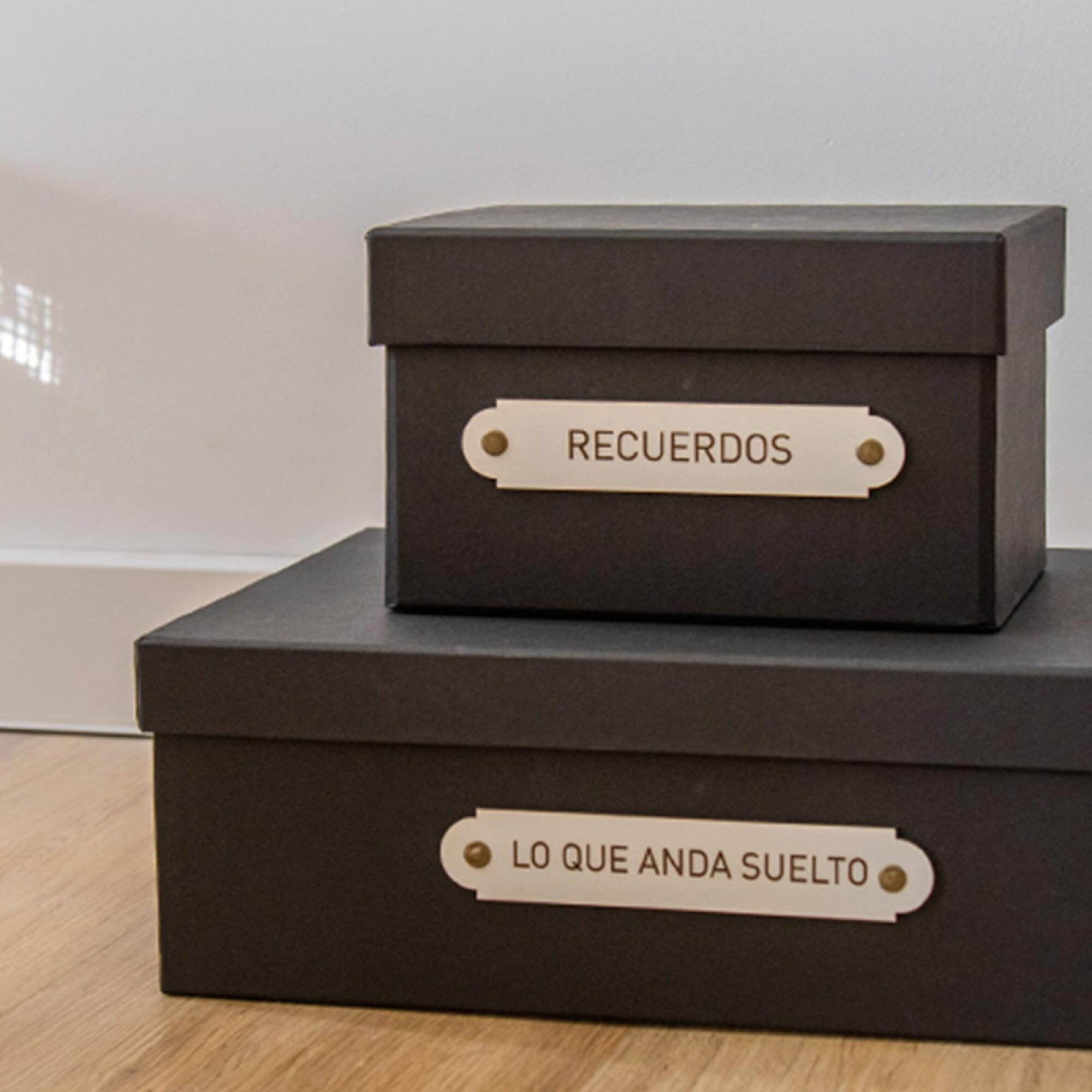 Caja Rotulada Negra | Grande — Organiza Simple