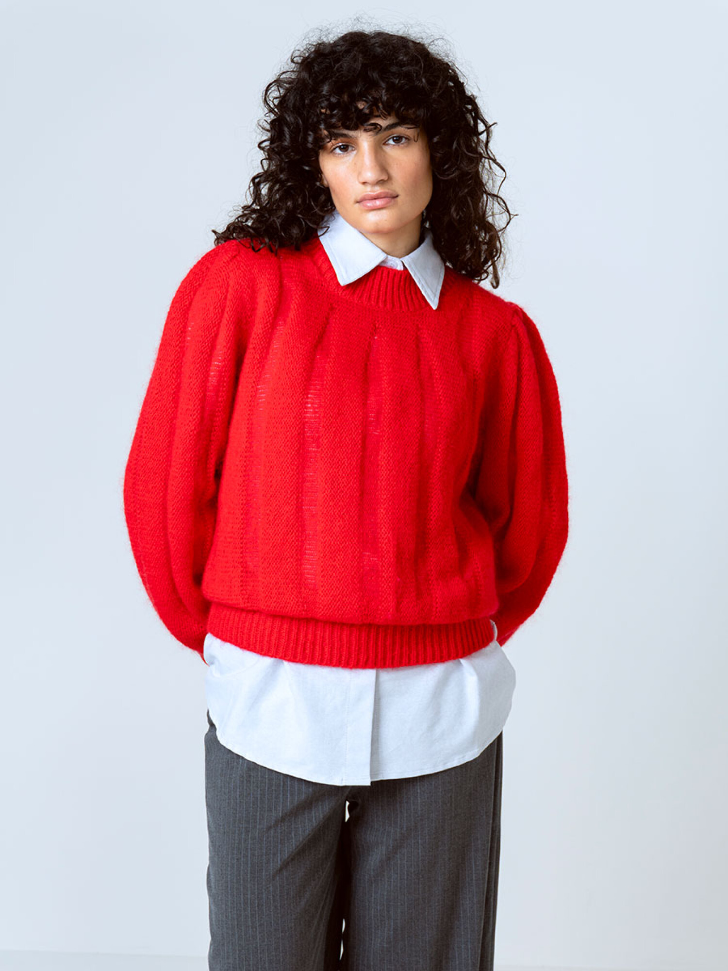 SWEATER POP — Rotunda