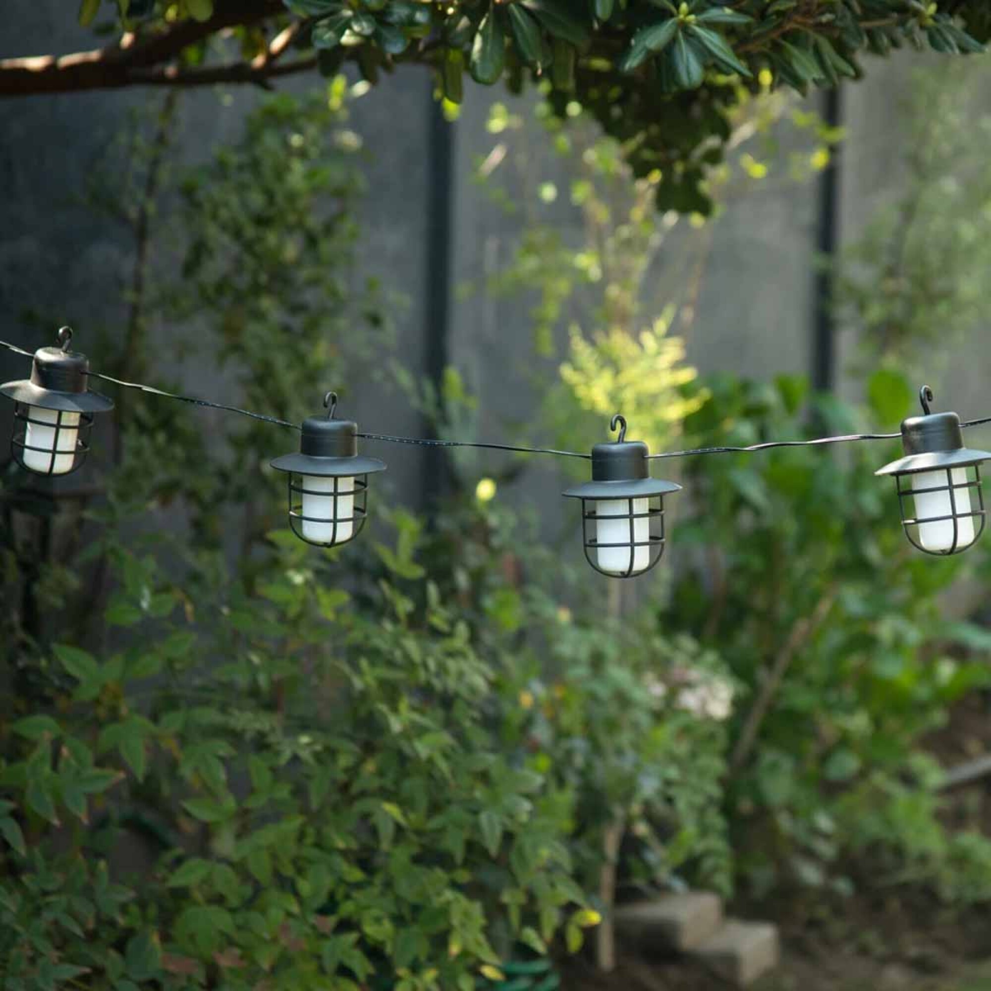 Guirnalda de 10 luces led vintage — Mis Petates