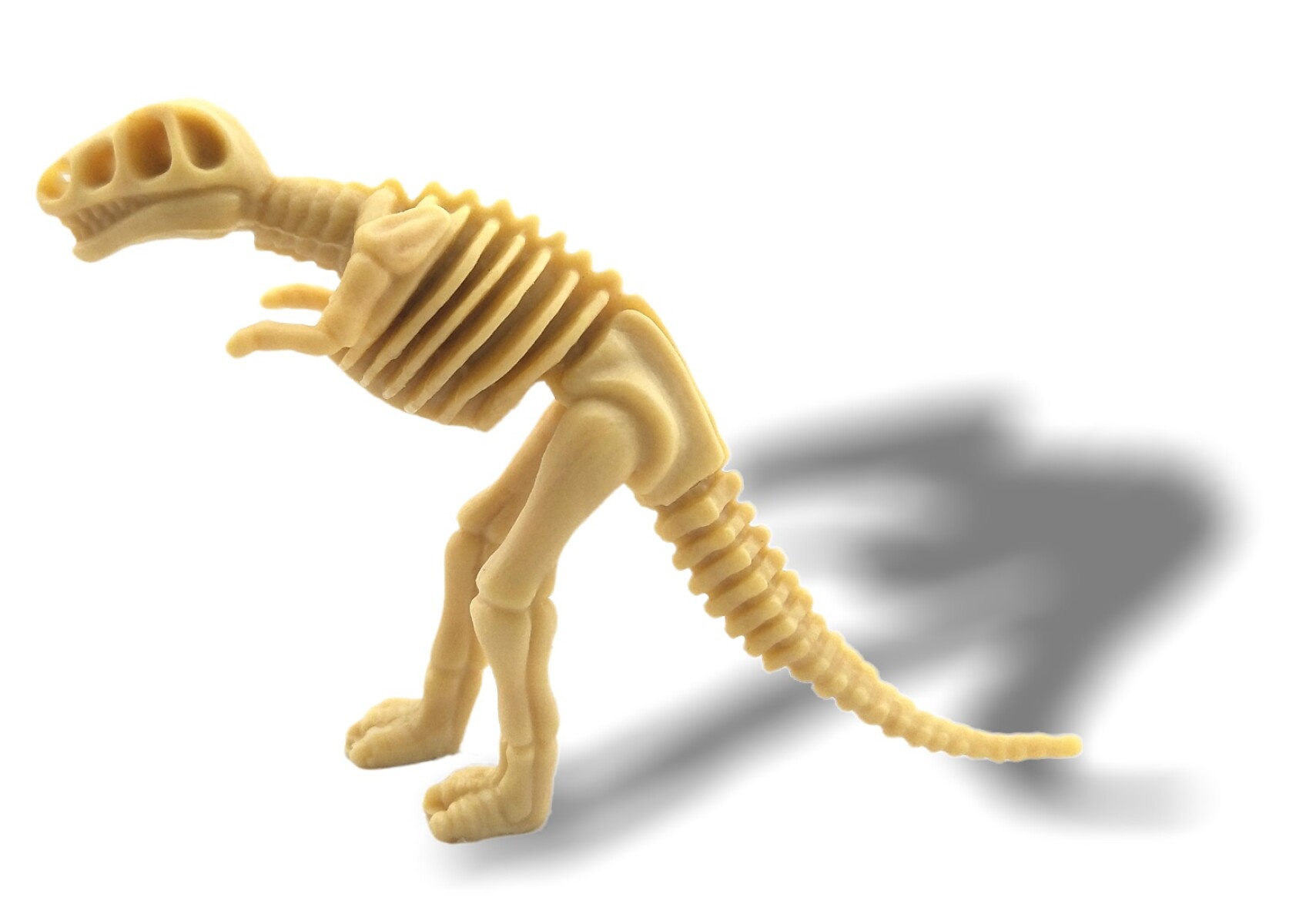 Bloques de dinosaurio - tyrannosaurus — miKangaroo