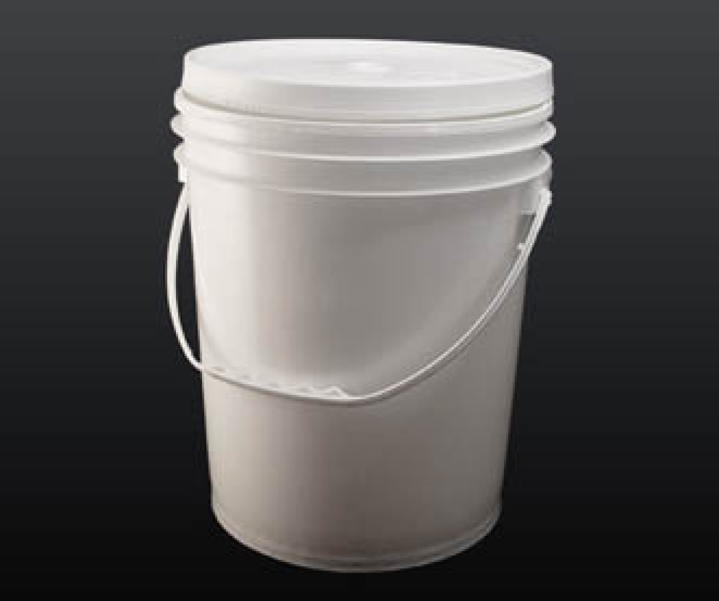 BALDE INDUSTRIAL BLANCO CON TAPA 20 LTS. — Casa Garrido