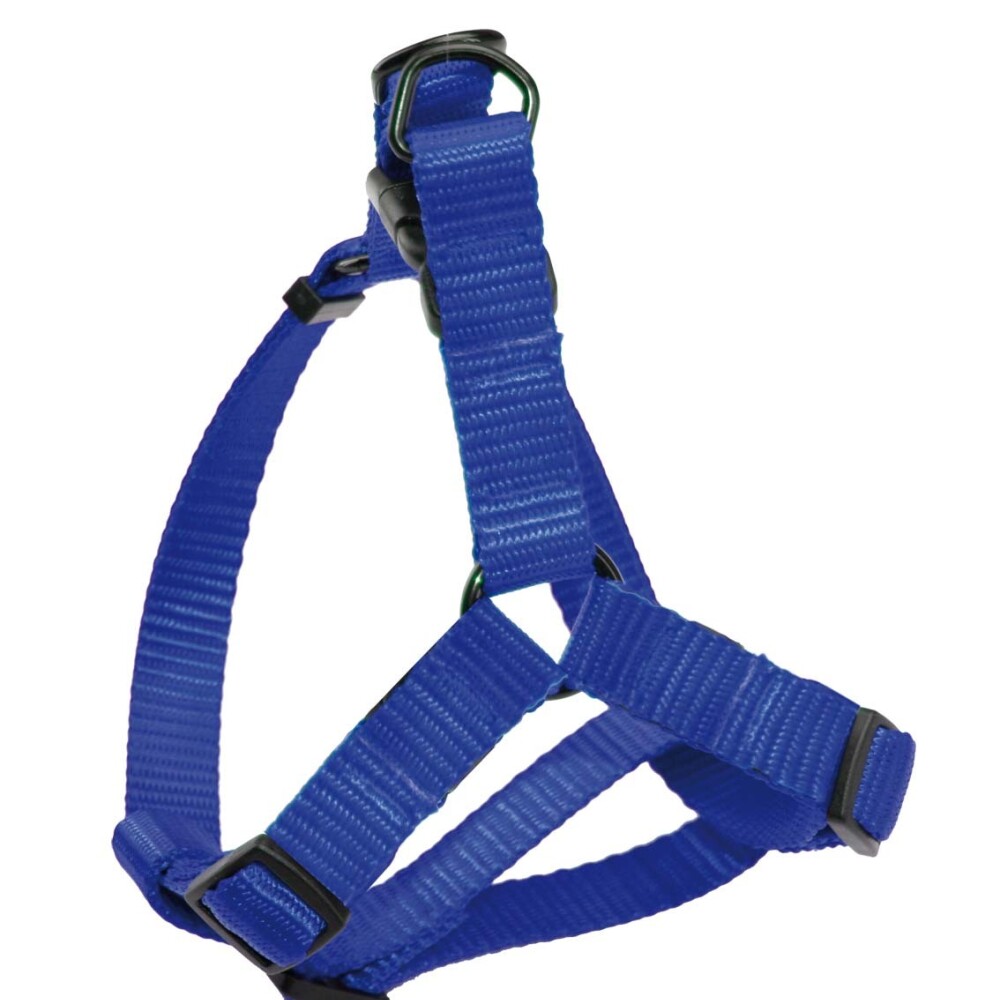 COLTI ARNES AZUL T-3 35-55 X 2,0CM — Laika