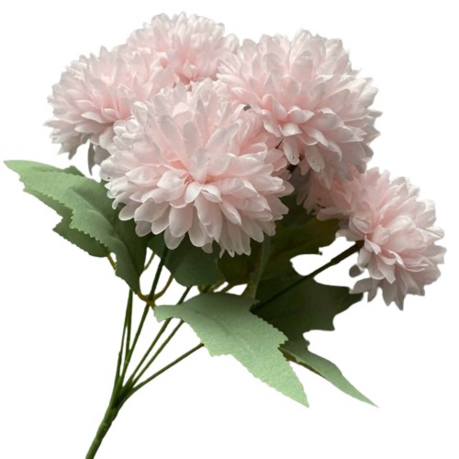 Ramo Copete Seis Flores - Rosa Pálido — Que Regalo