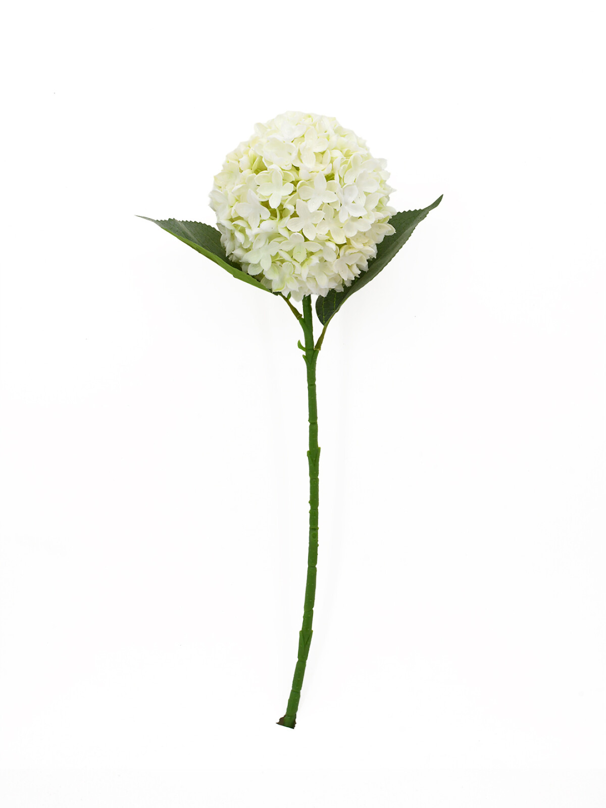 FLOR HORTENCIA FRISADA - BLANCO — Guapa - Paprika