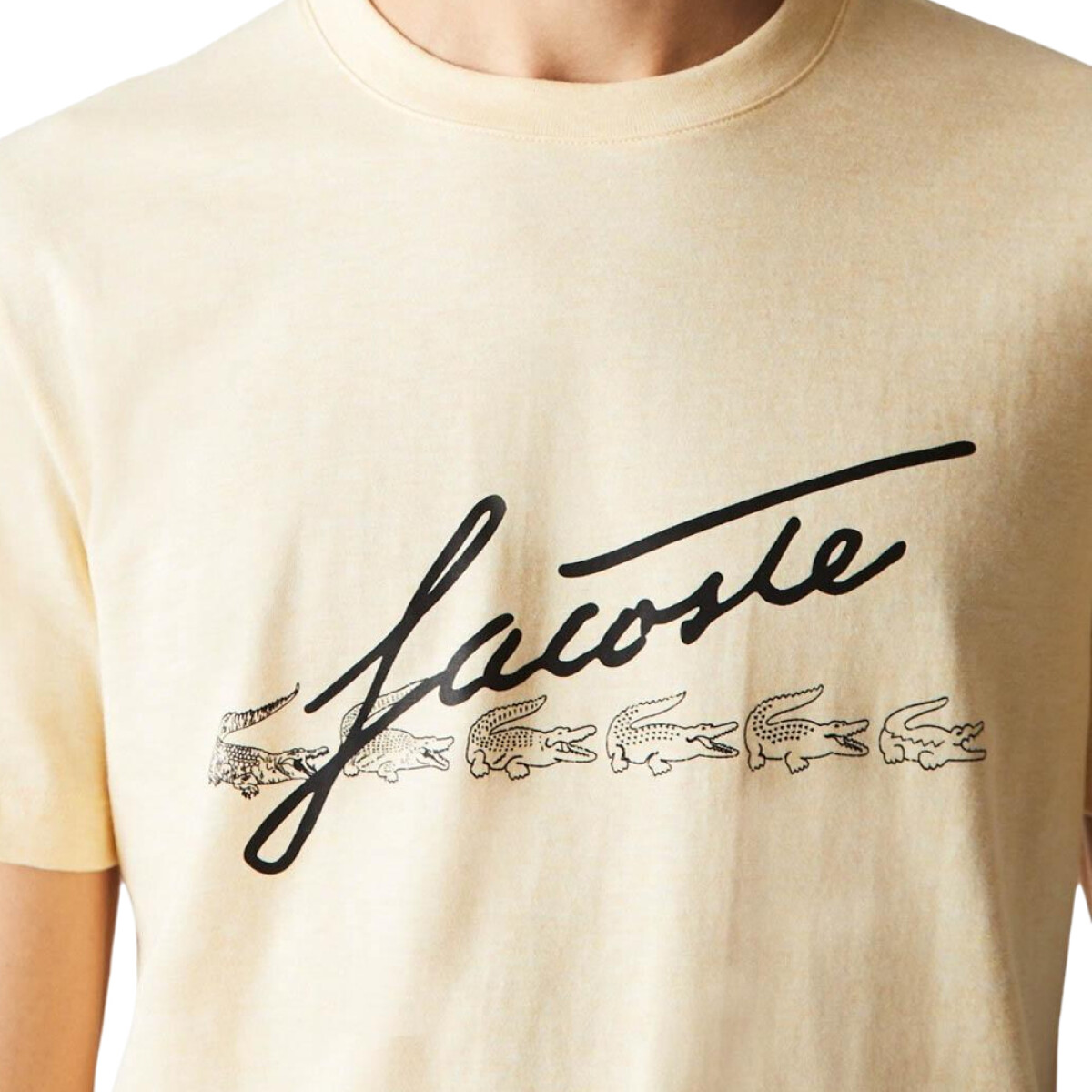 REMERA LACOSTE SIGNATURE AND CROCODILE - HBZ — Zooko