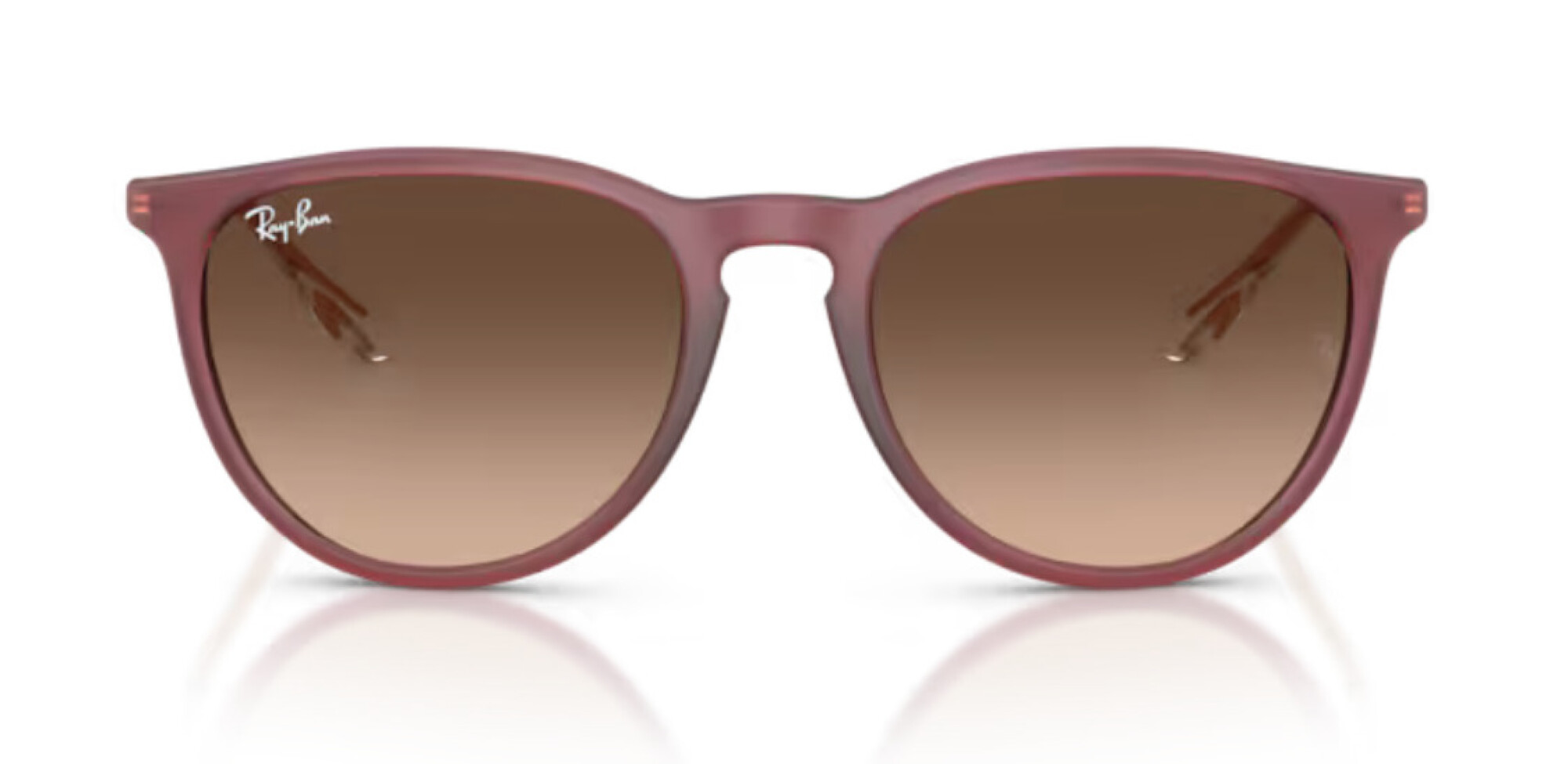 Ray-Ban Erika - Violeta — Optica Americana