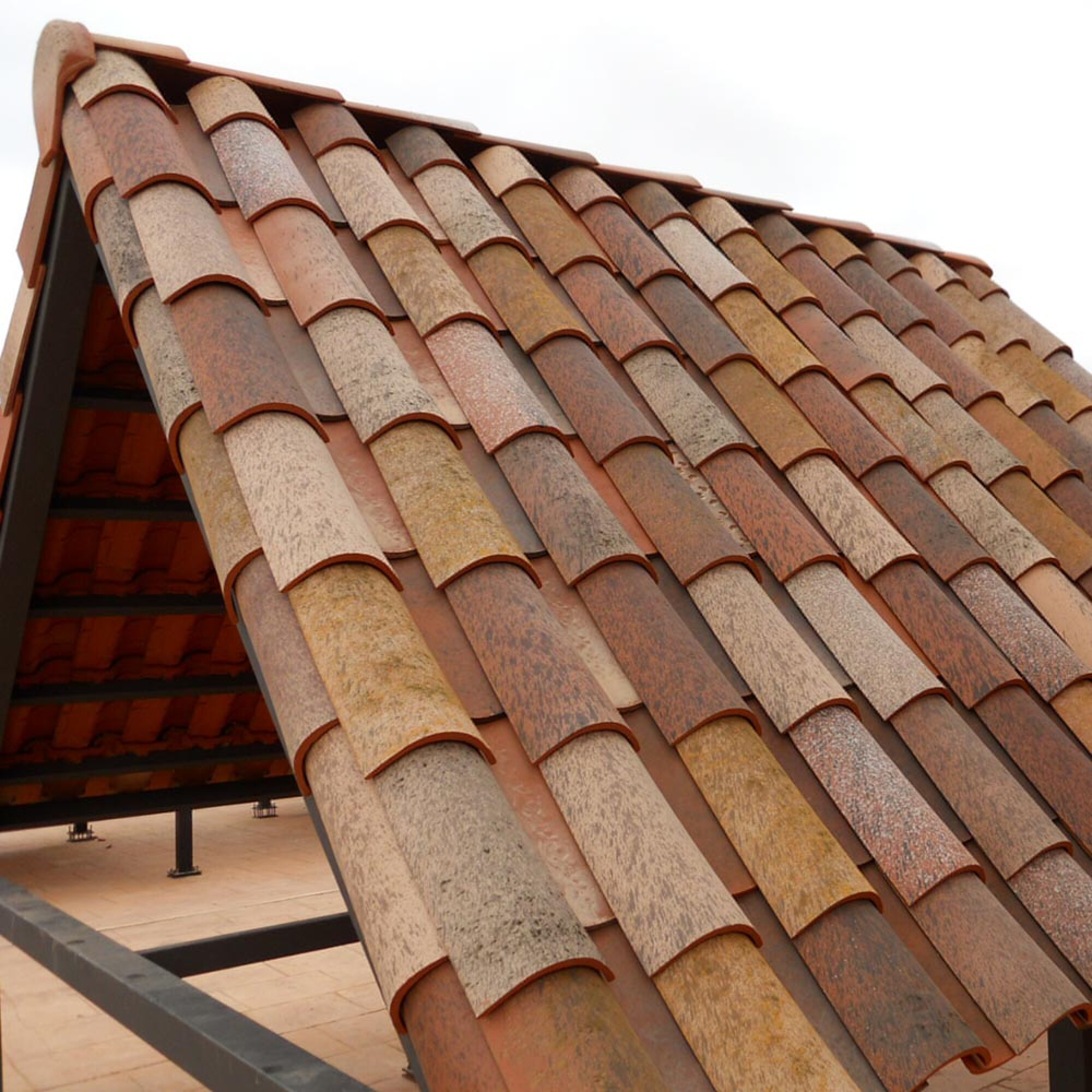 Teja Curva 50 Milenium (cumbrera) — Castro