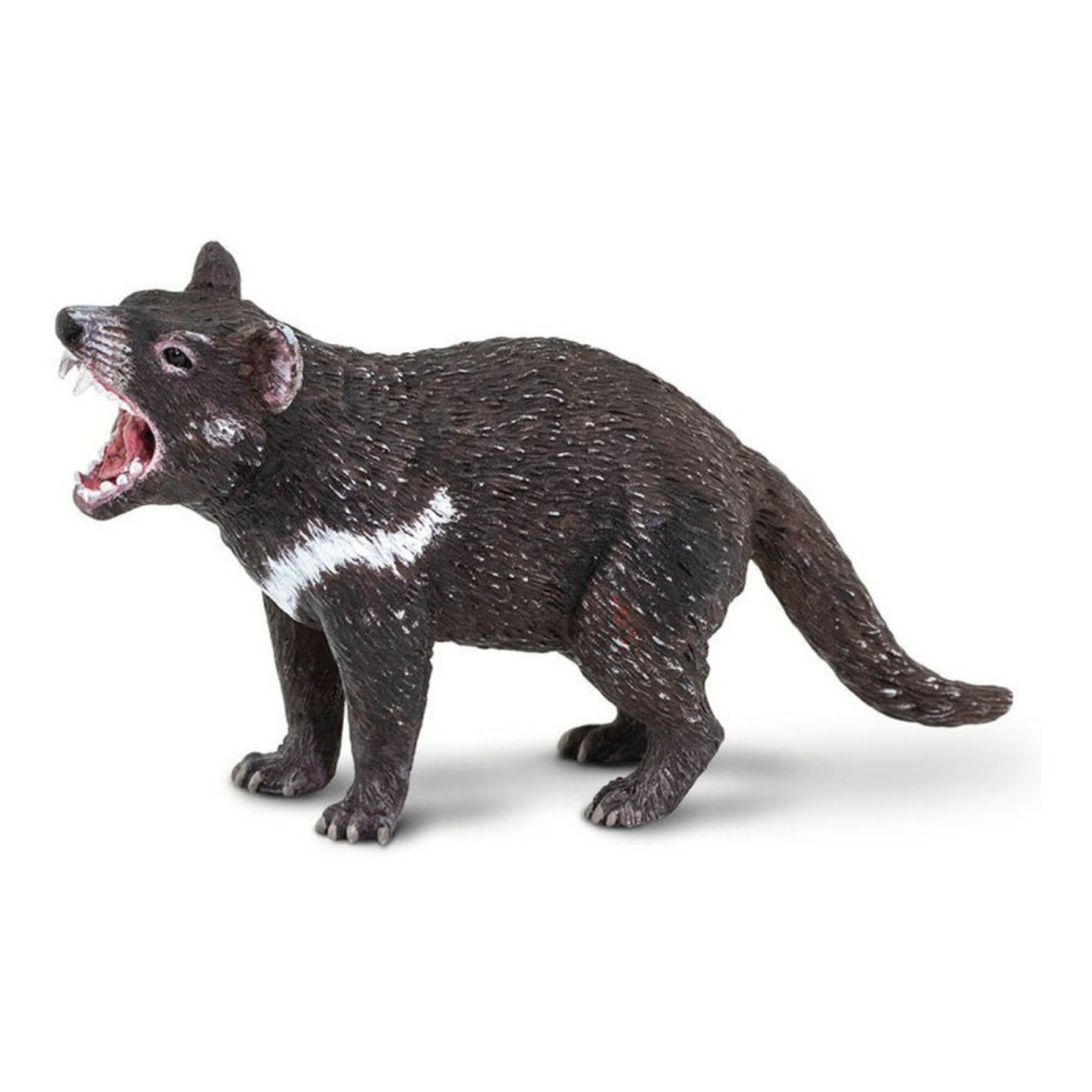 Demonio De Tasmania Safari Figura Muñeco Animal Real Niño — Atrix