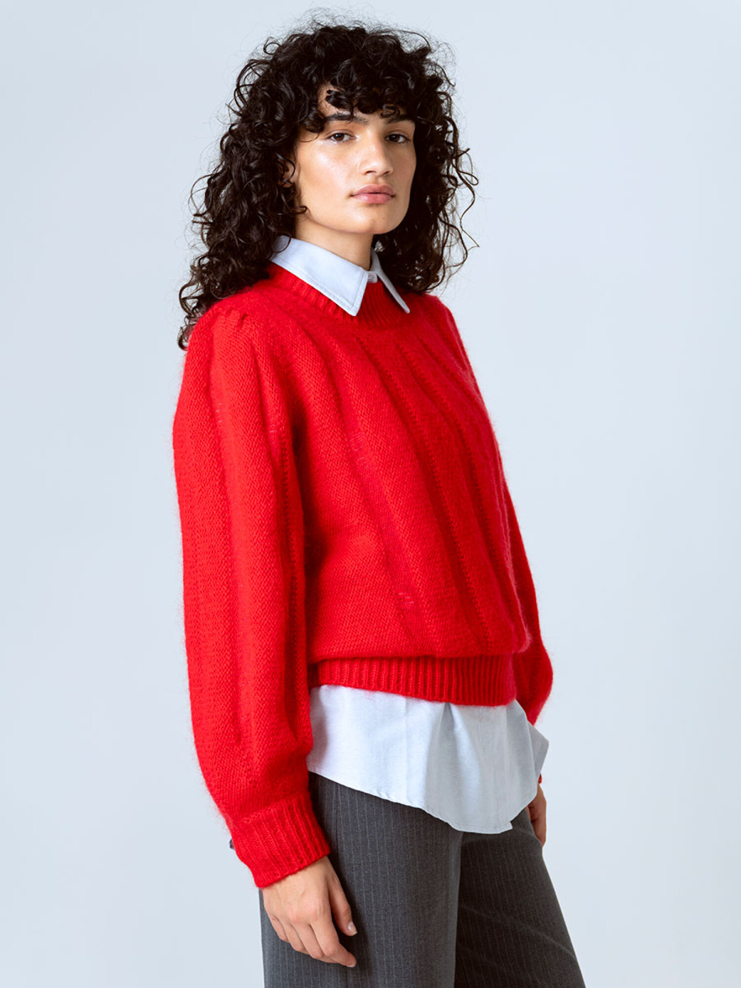 SWEATER POP — Rotunda