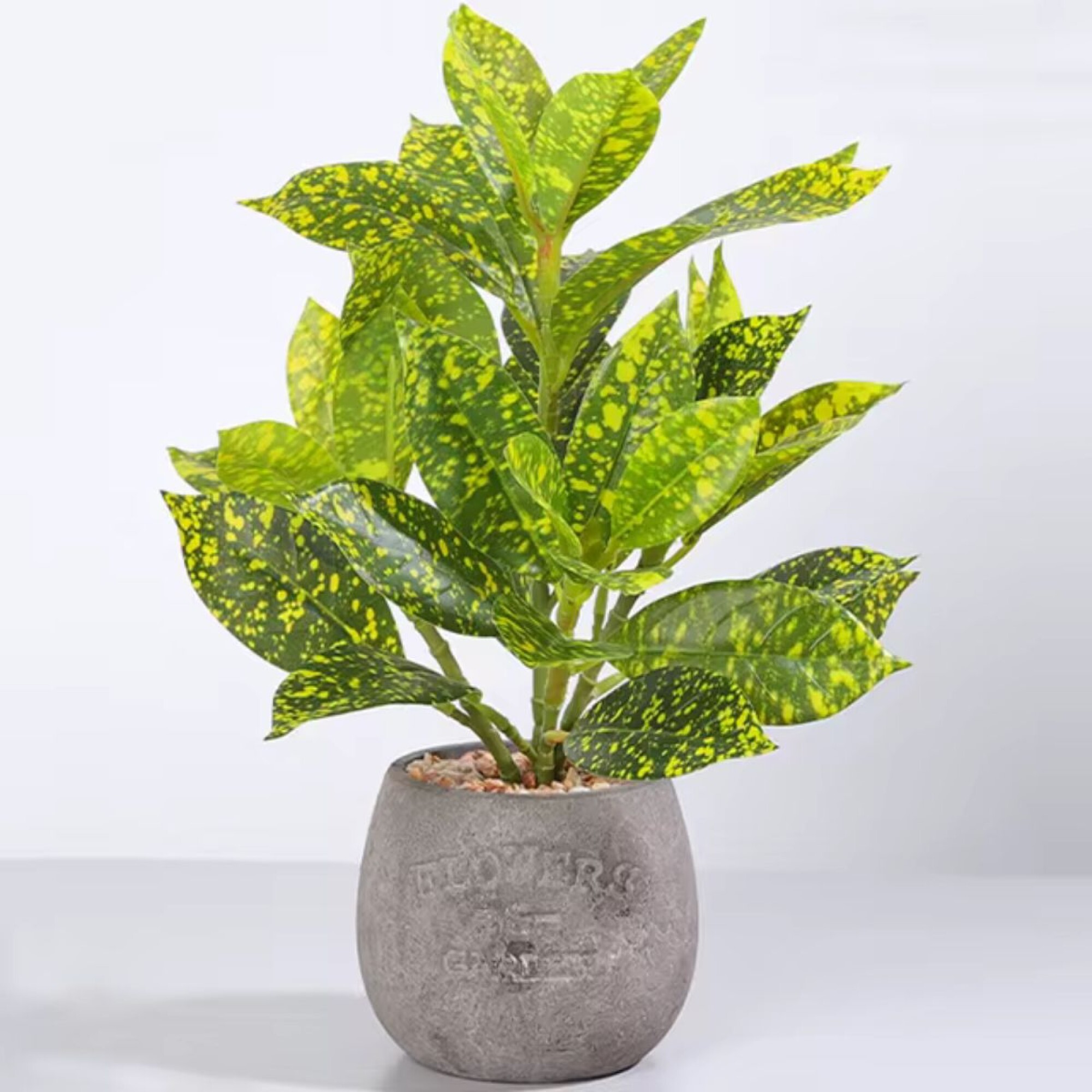 Planta con Maceta Deco — Casa Fessta