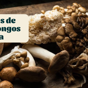¡Beneficios de incluir hongos en la dieta! — La Molienda