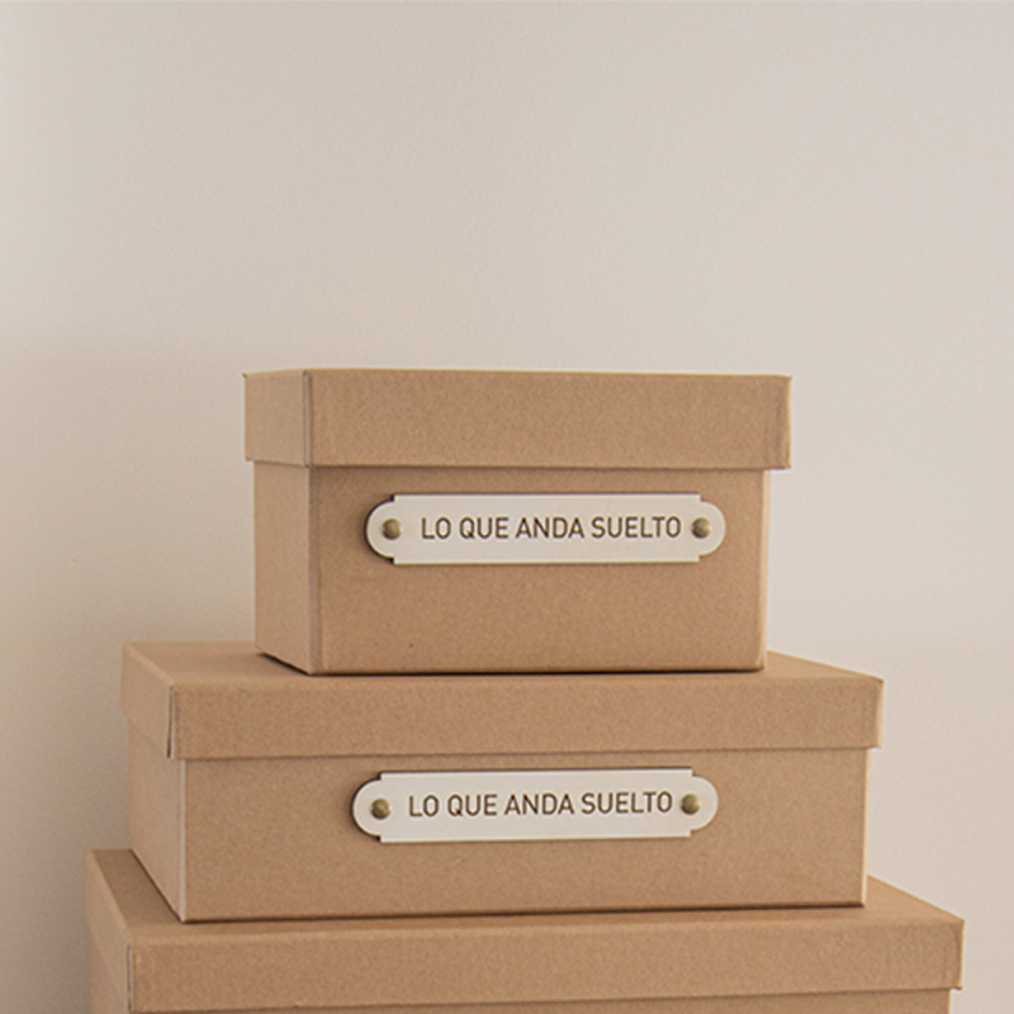 Caja Rotulada Kraft | Chica — Organiza Simple