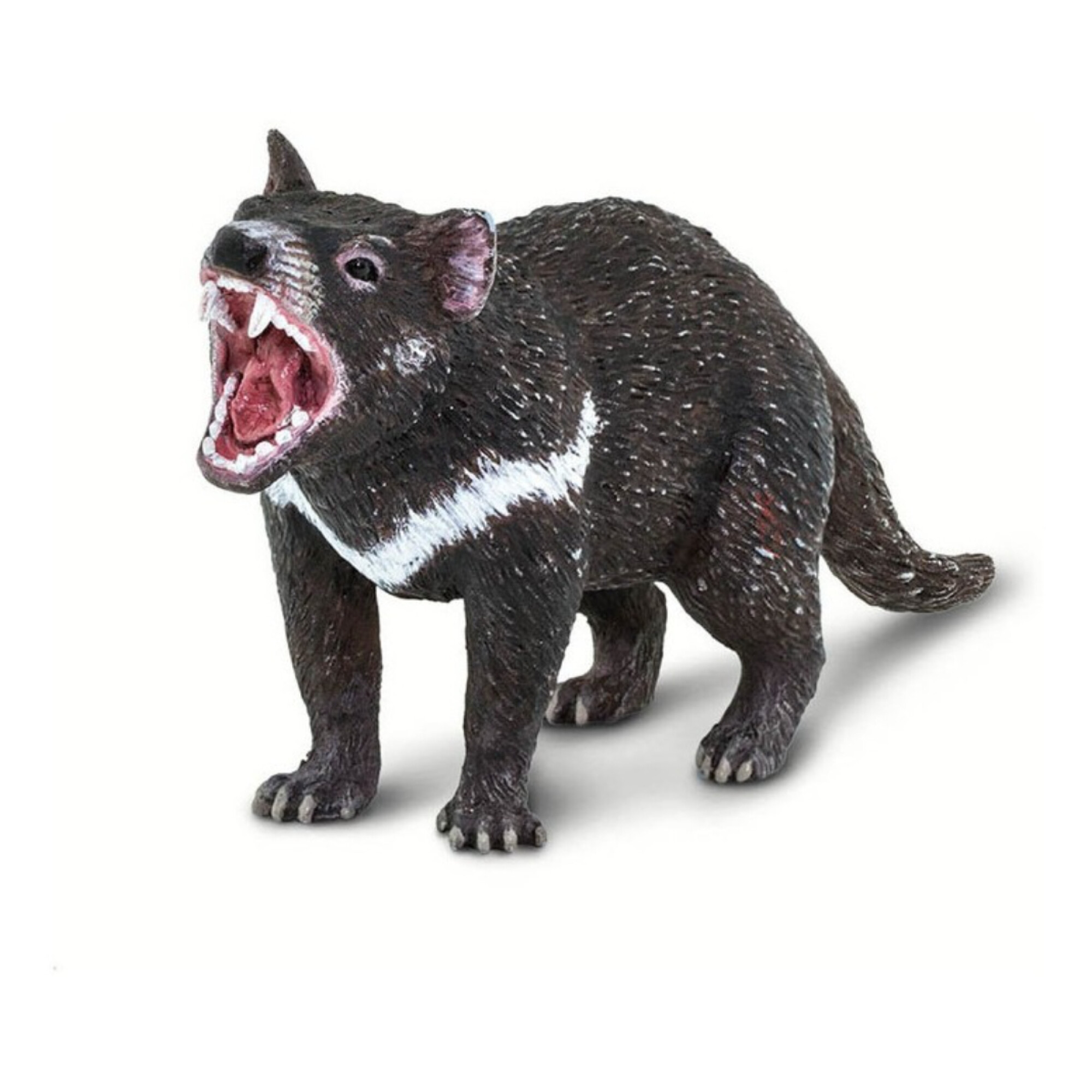 Demonio De Tasmania Safari Figura Muñeco Animal Real Niño — Atrix