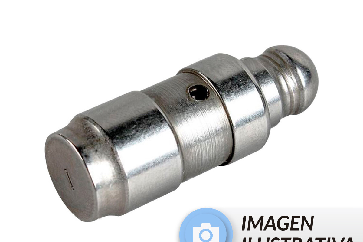 Botador — Larrique Rulemanes