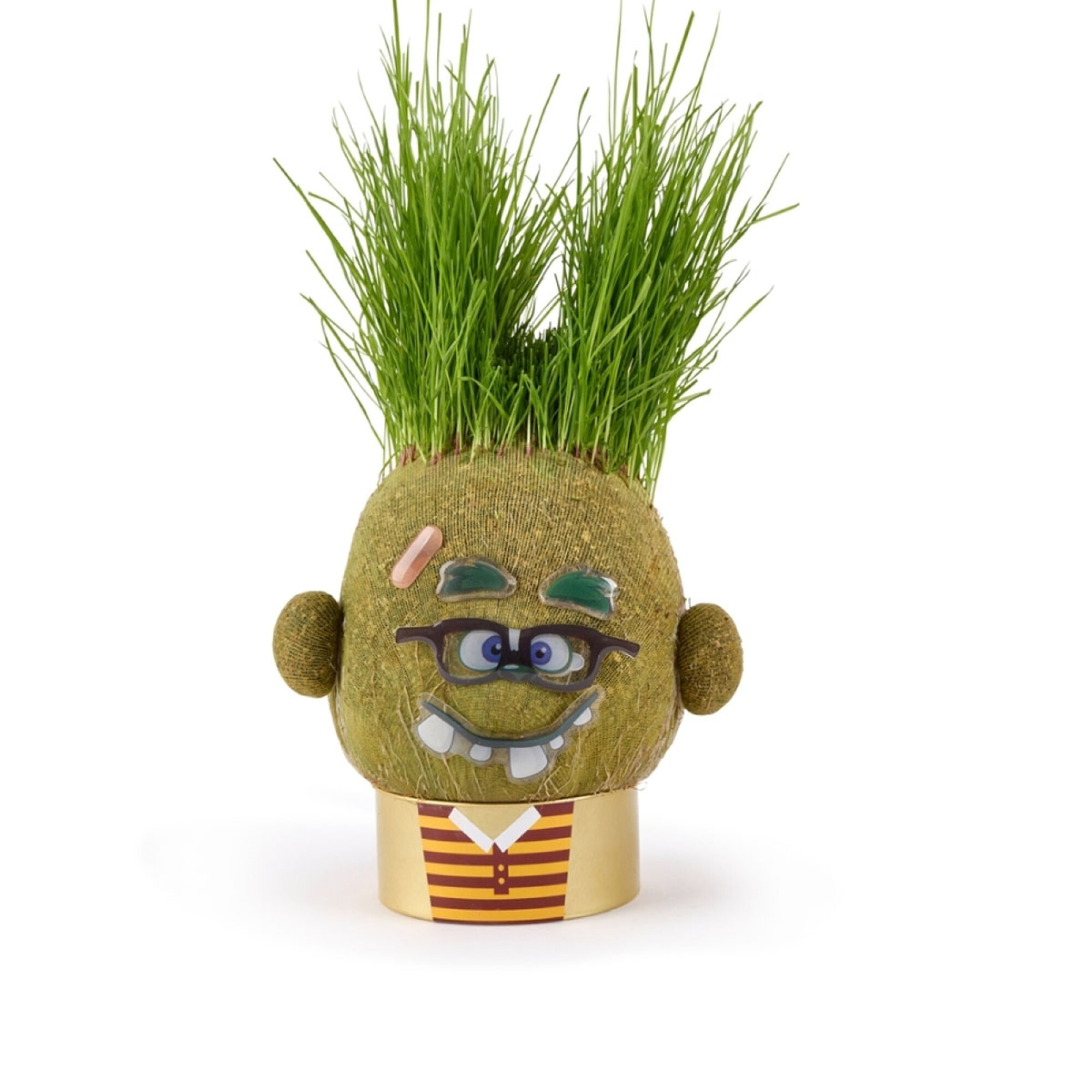Cabeza de pasto Plant Pals Monsters Hape - Cheerful Charles — Los Reyes ...