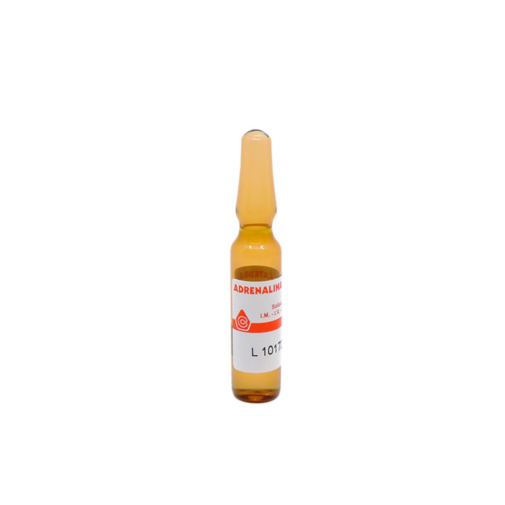 ADRENALINA AMPOLLA X 1 AMPOLLA — Farmacenter