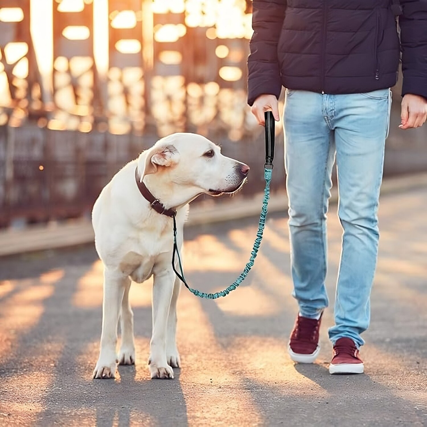 Correa Paseo Perro Elástico Doble Agarre Anti tirones 180cm - Variante ...