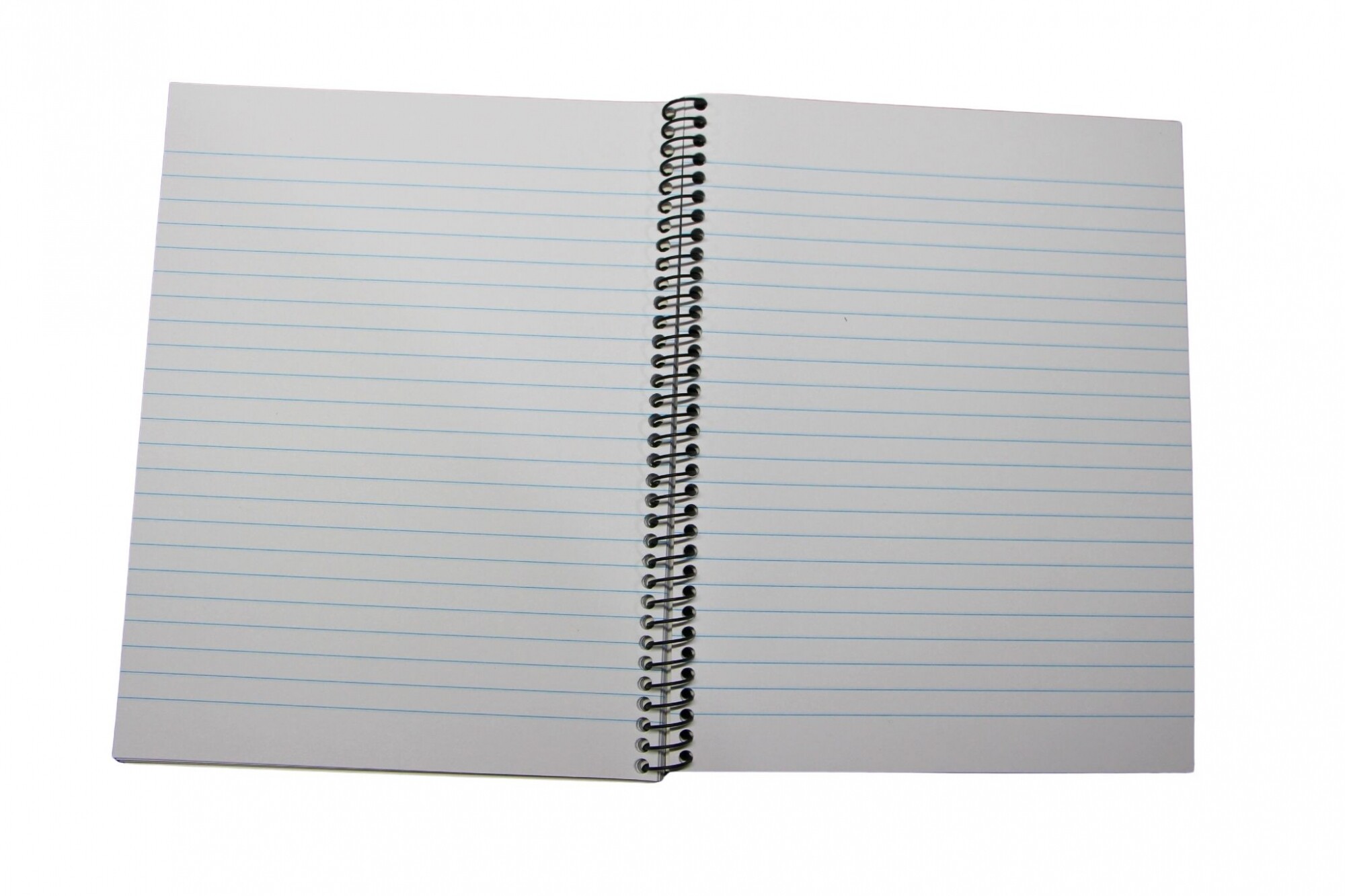 CUADERNO PAPIROS CON ESPIRAL 96 HOJAS 796 - TAPA LEON — Alberto Gandulia