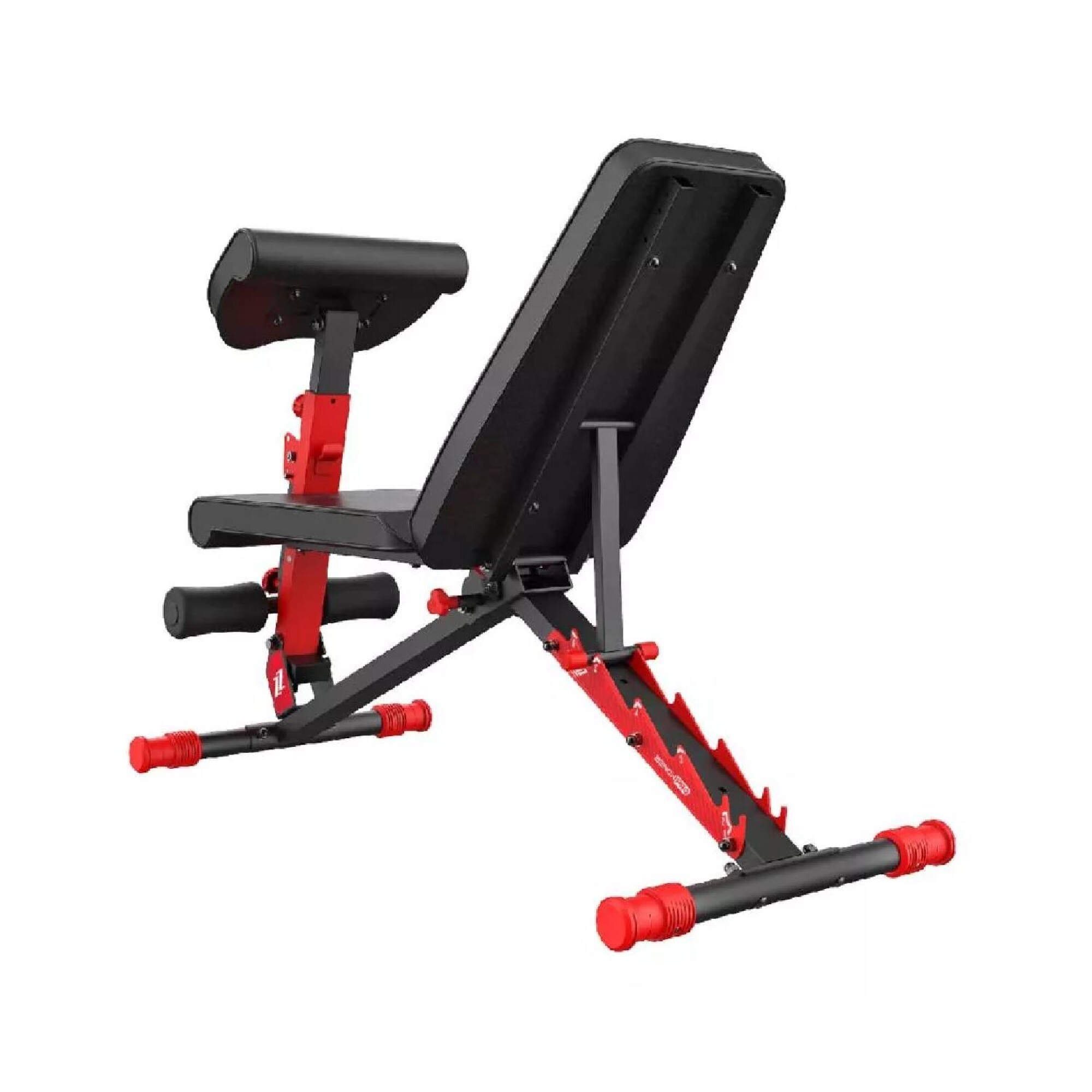 Banco de ejercicios ZZGO Bench Pro ajustable con Scott — Electroventas
