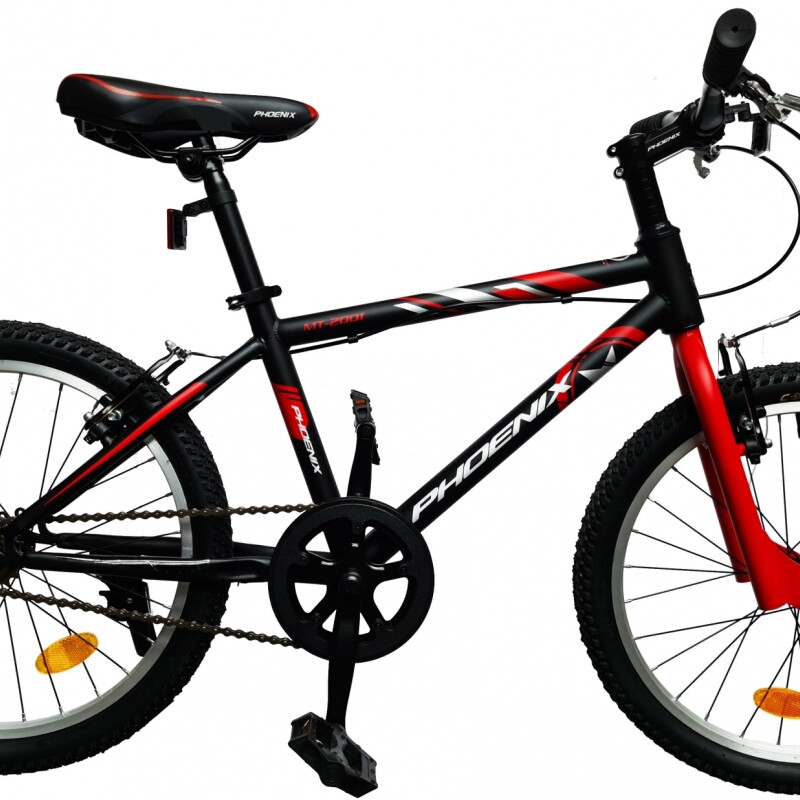 Bicicleta Phoenix MT-2001 R20 — Barraca Dayman