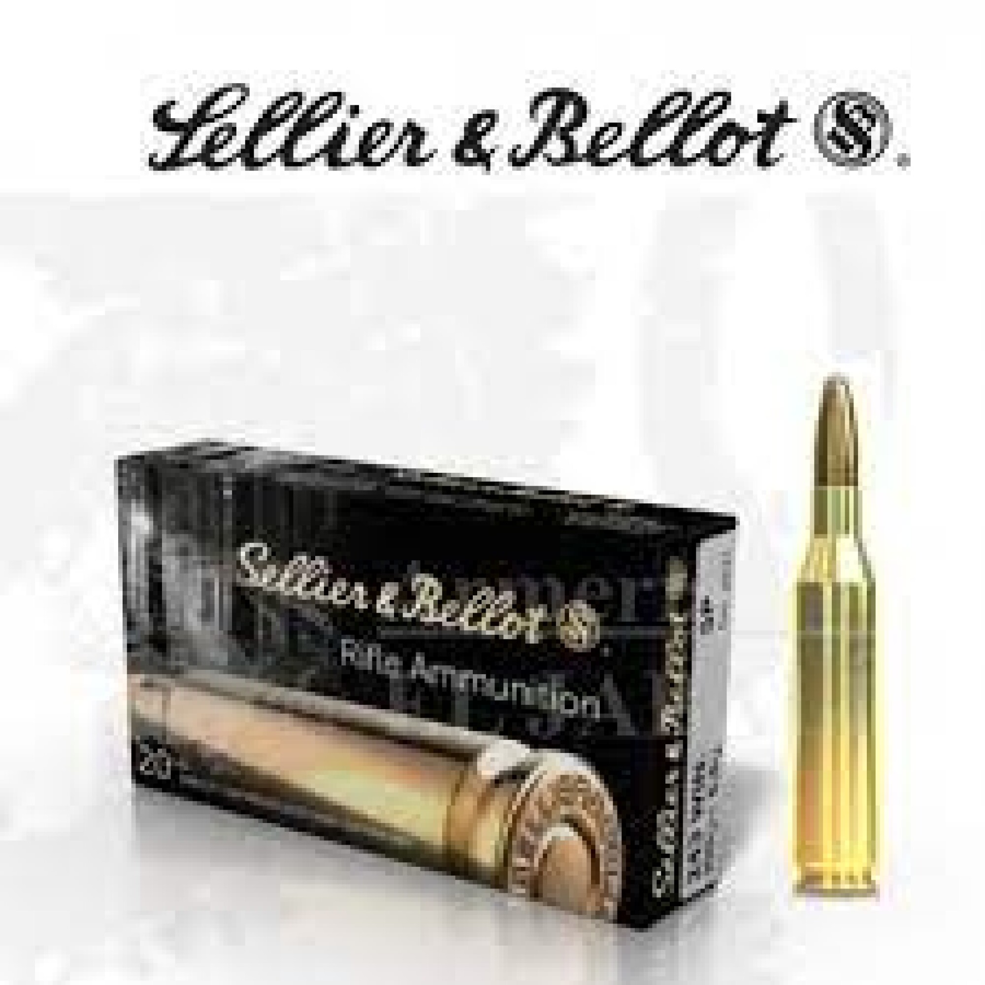 Bala S&B 243 Win Sp 100gr — Magnum