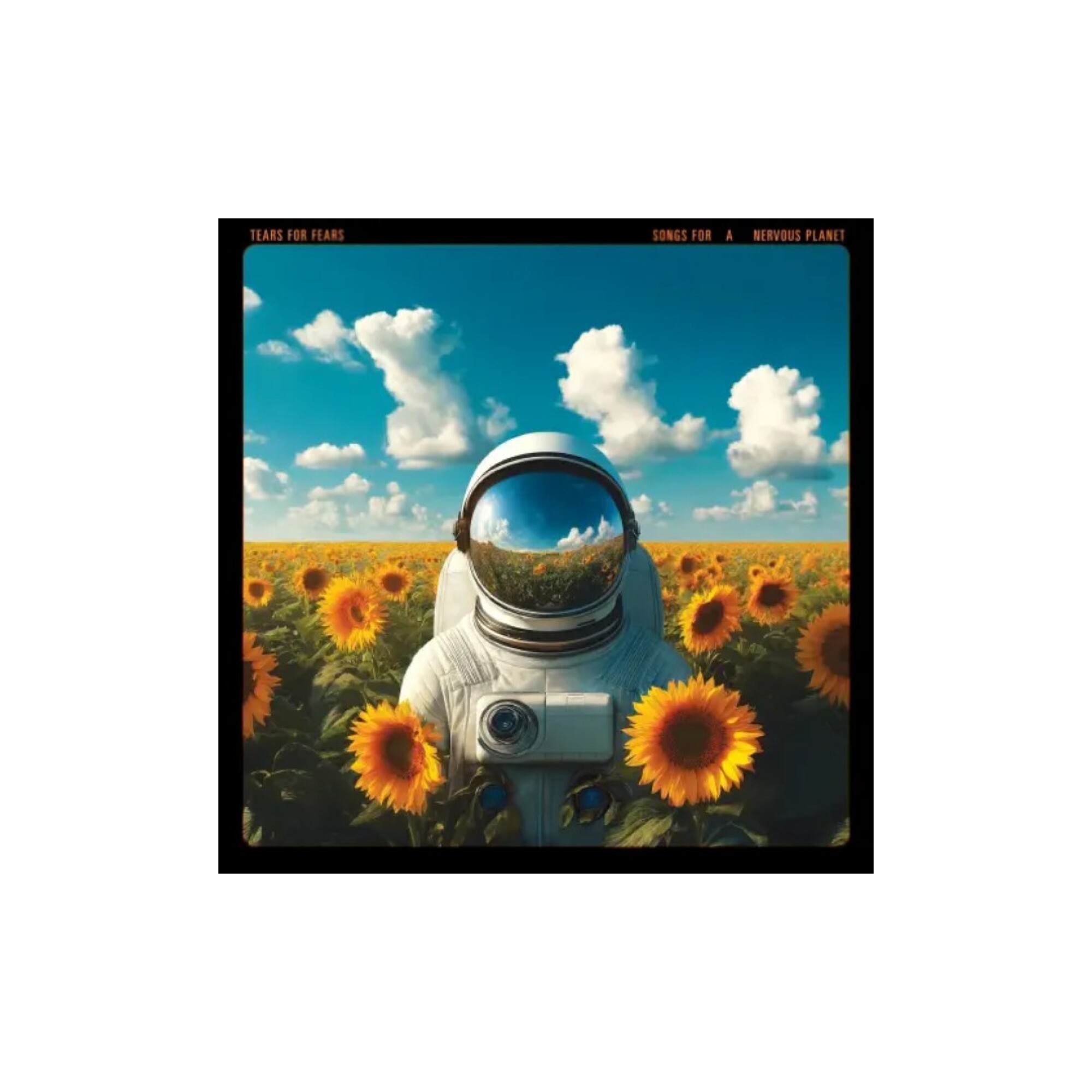 Tears For Fears / Songs For A Nervous Planet - Cd — Palacio de la Música