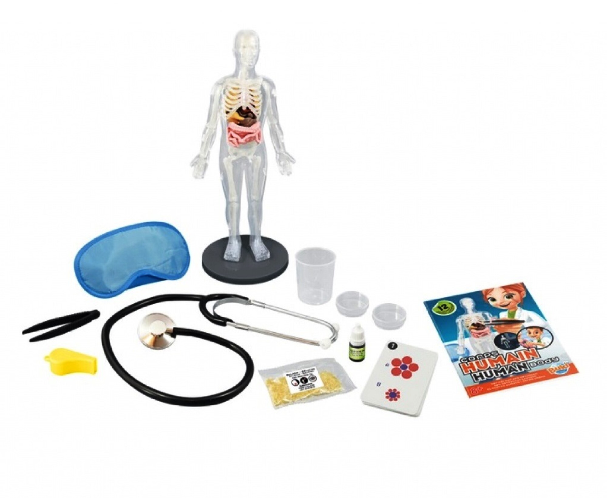 Cuerpo humano Buki — Juguetería Gibernau