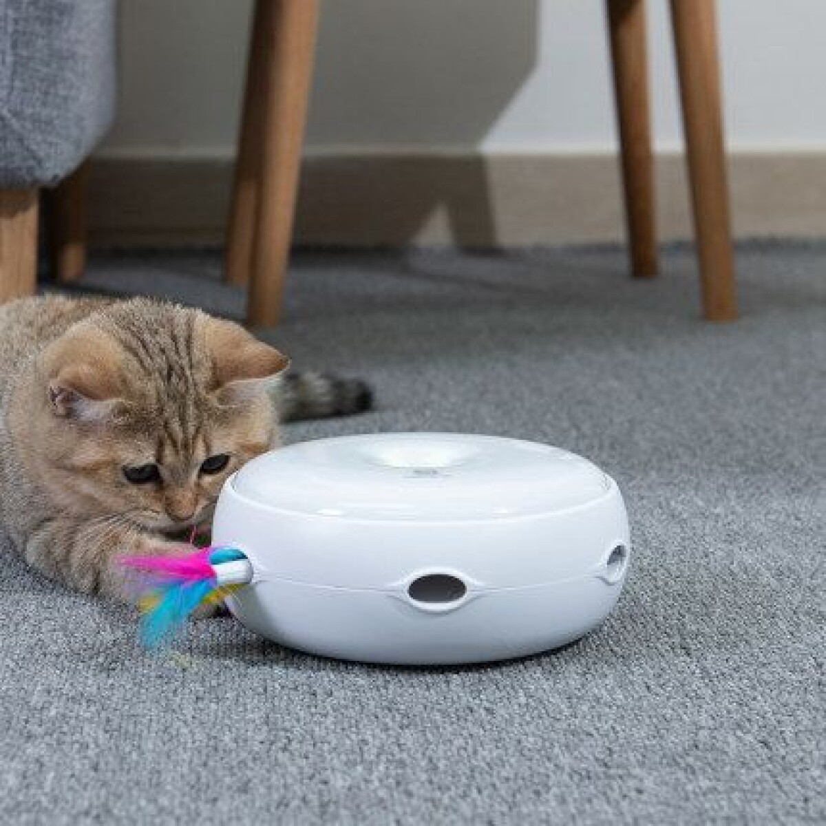 Juguete Robot Para Gato Interactivo Automático — El Capitán