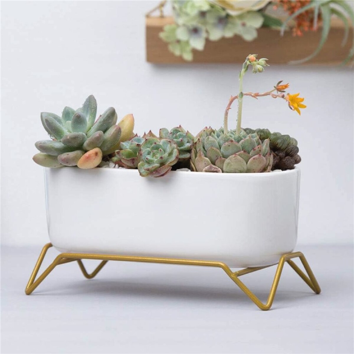 MACETA CERAMICA C/BASE 17x9x9CM BLANCO/DORADO — Deco Hogar