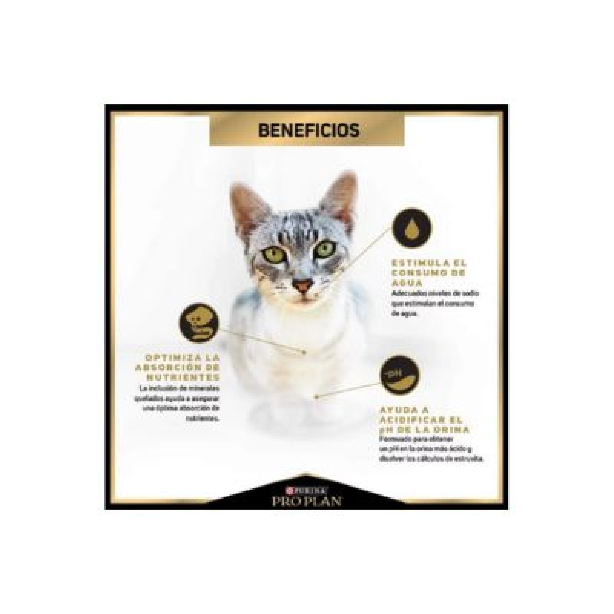 Pro Plan Urinary 7,5 kg | Salud Urinaria y Bienestar — Pet+