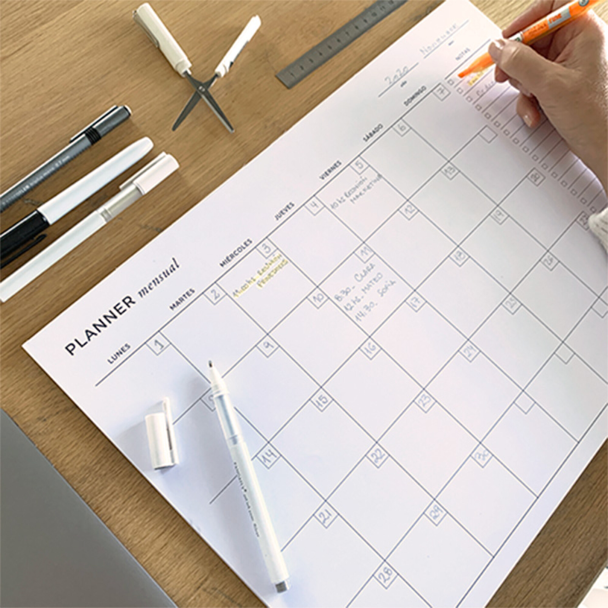 Planner Mensual — Organiza Simple