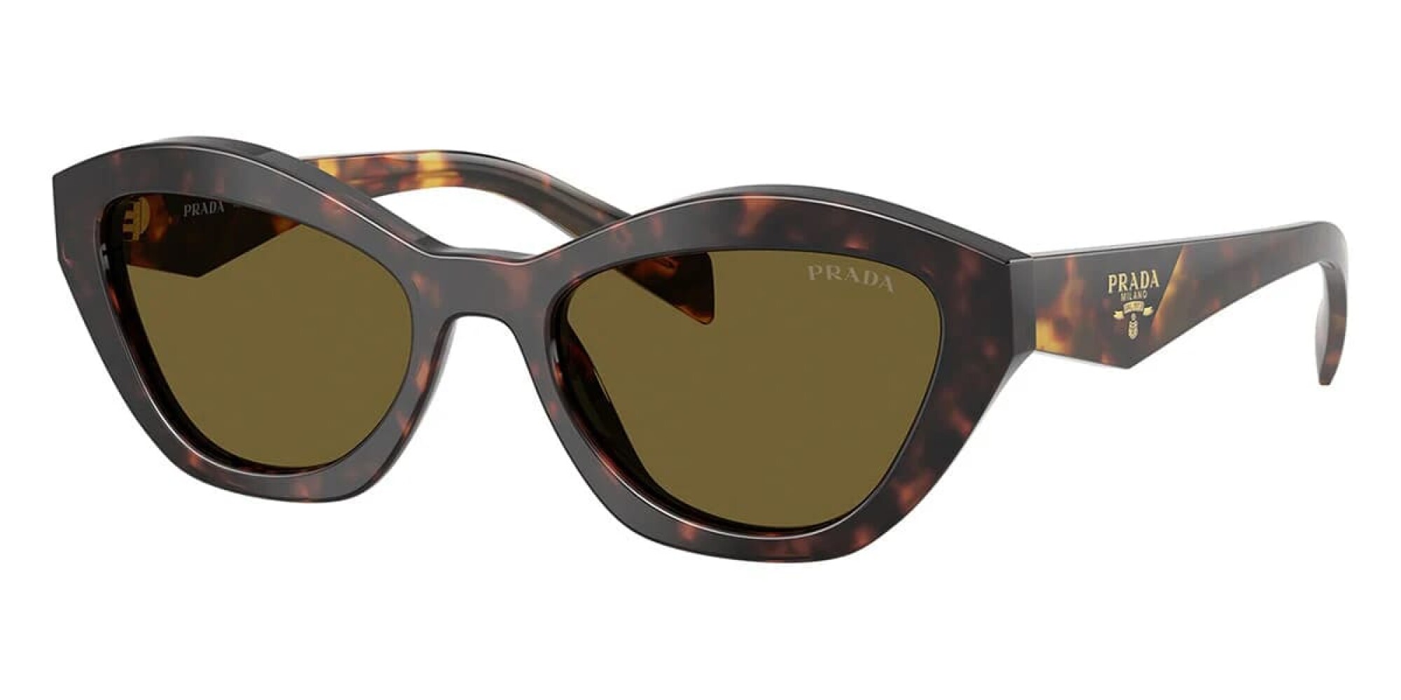 Prada A02S - Havana — Optica Americana