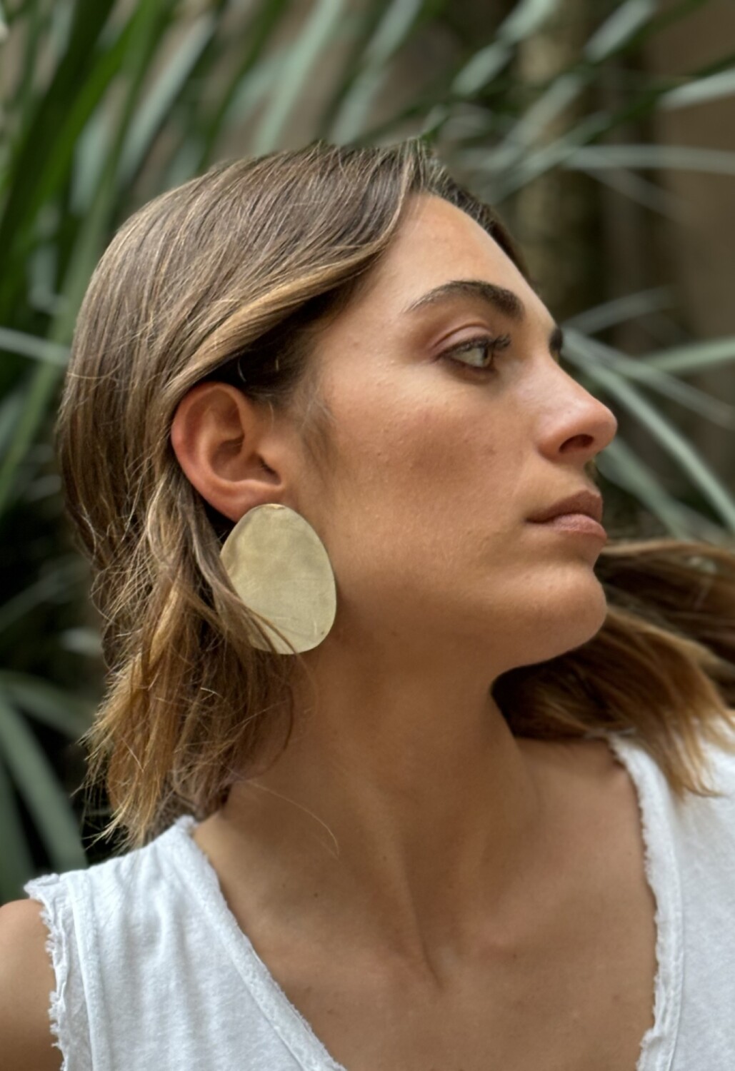 AROS CRISPINA - PLATEADO — Panthai