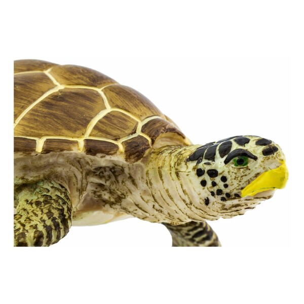 Tortuga Marina Loggerhead Safari Muñeco Animal Figura — Atrix