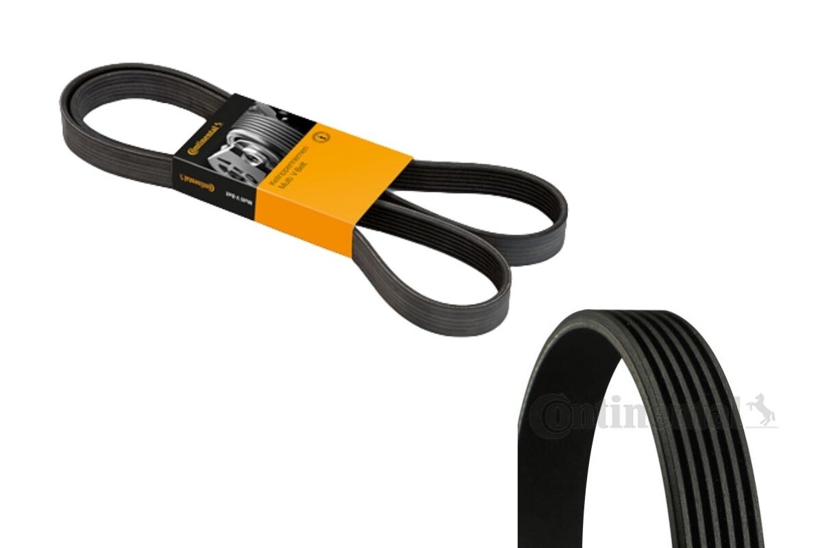 6PK875 Correa de Accesorios Continental Renault — Larrique Rulemanes