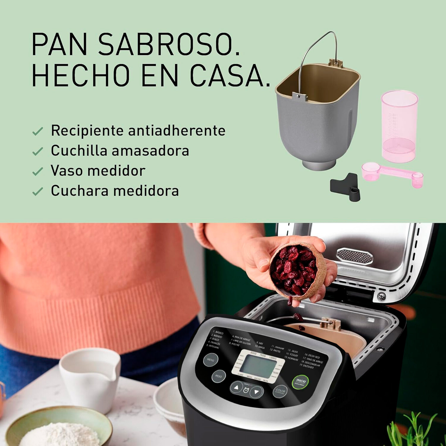 PANETERA ALLIED AL-BM10 — Dimm