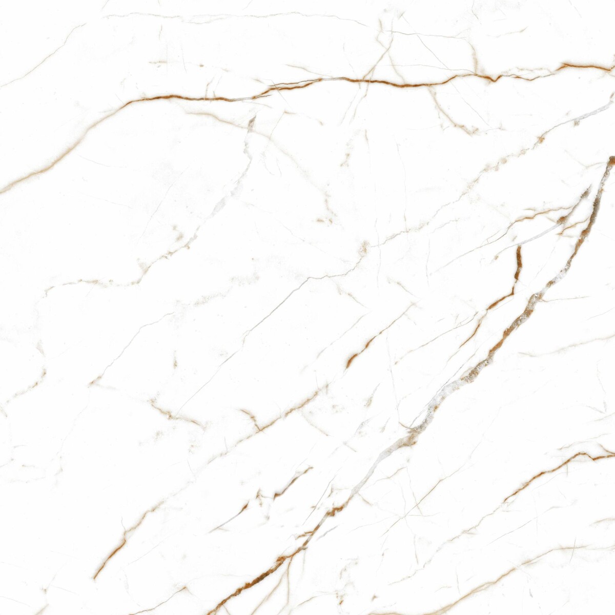 Porcelanato Calacatta Gold 72x72cm — Prodeco