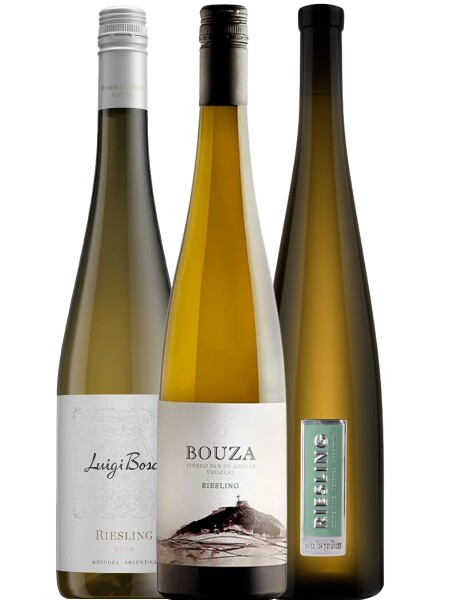 Pack Riesling Reserva — La Sacristía