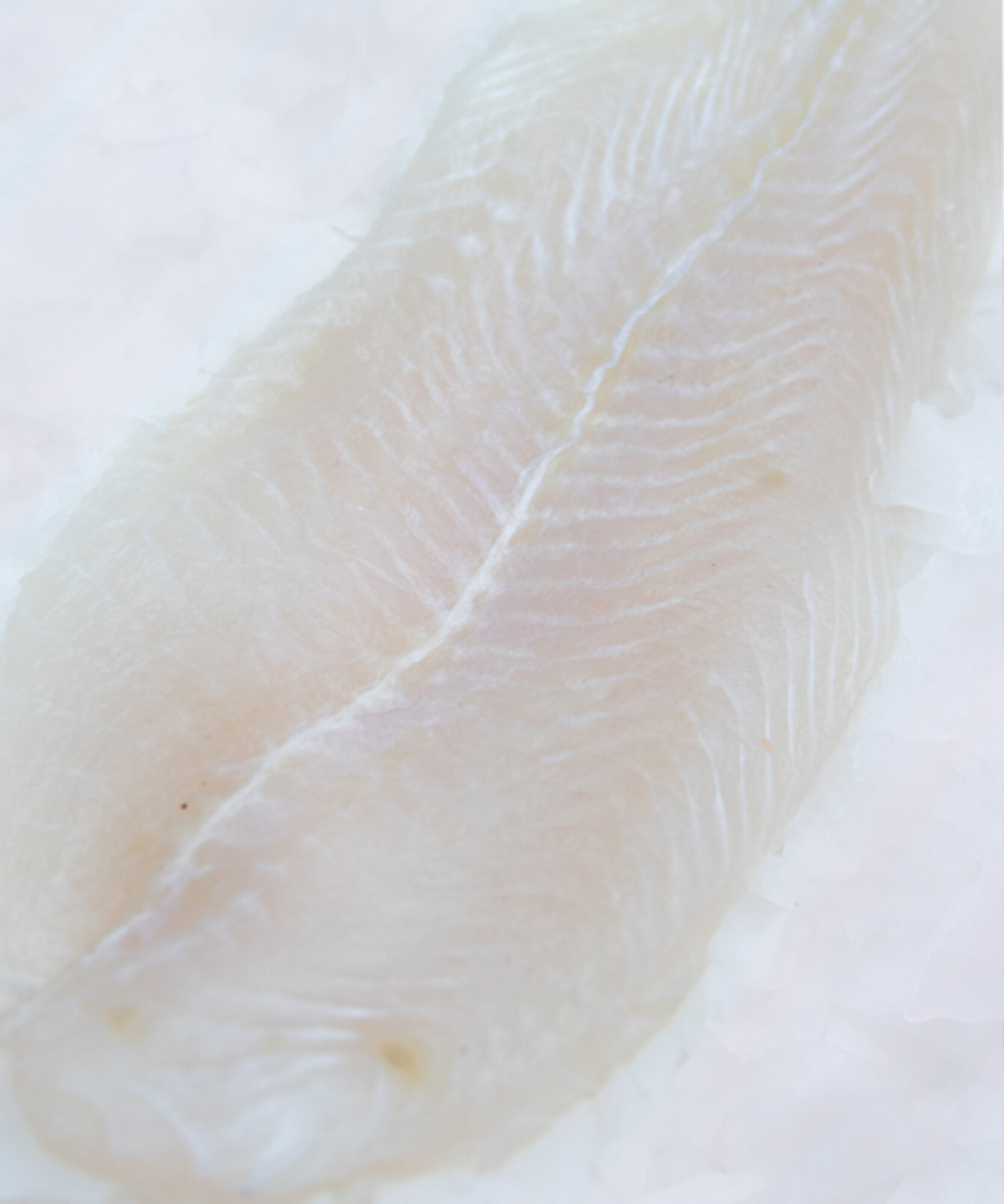 Filete de Pangasius - 1 Kg — Puerto Fresco