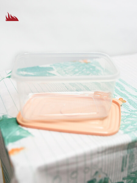 RECIPIENTE CON TAPA - CORAL — Guapa