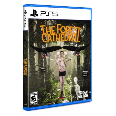 The Forest Cathedral - PS5 — Tienda Soy Santander