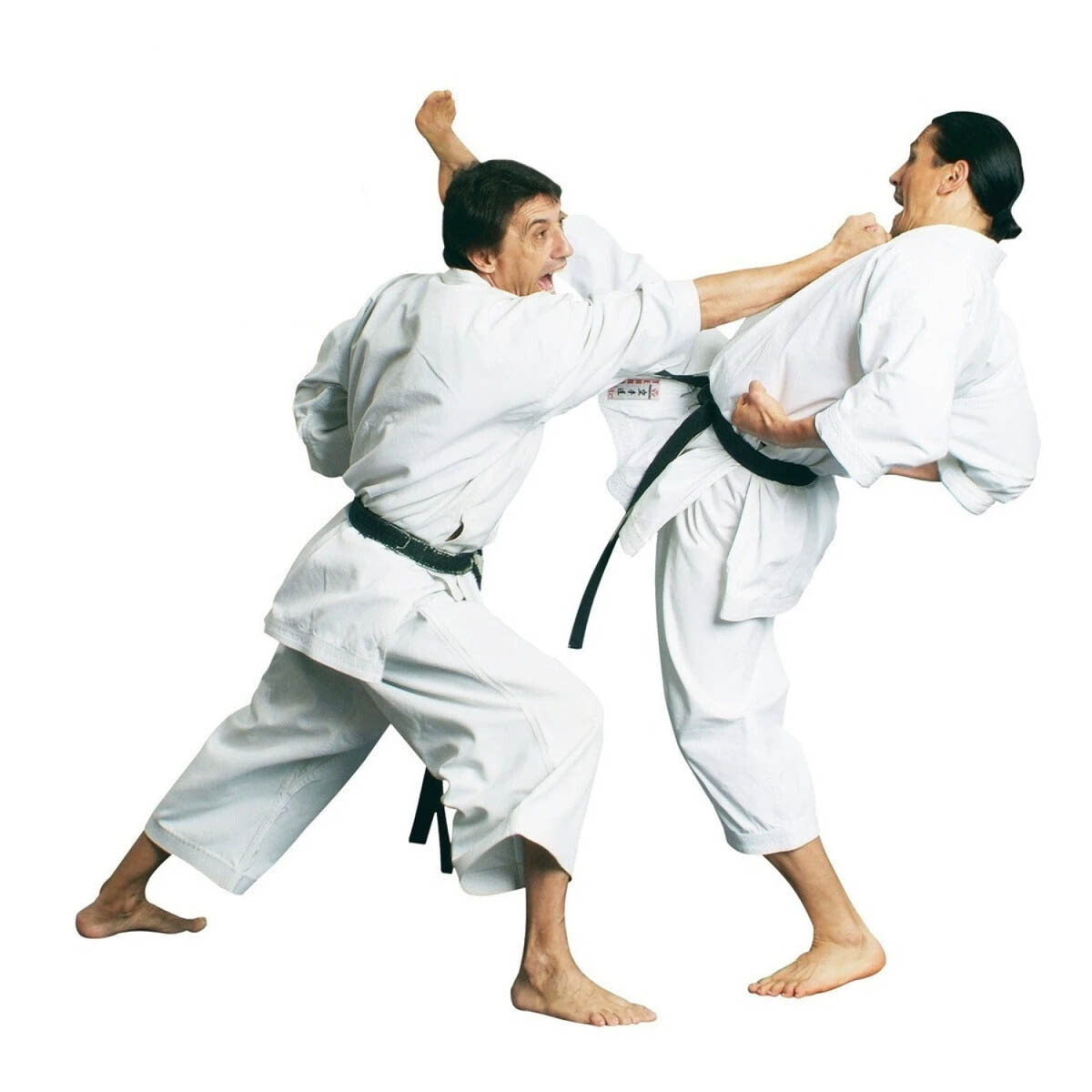 Traje Completo Uniforme De Karate Kimono Karategui — El Rey del ...